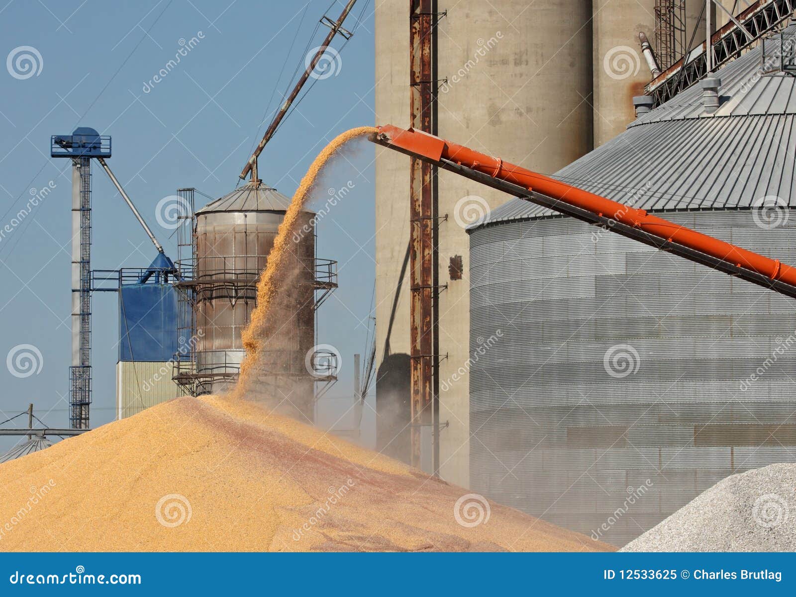 Unloading Corn stock image. Image of corn, agricultural - 12533625