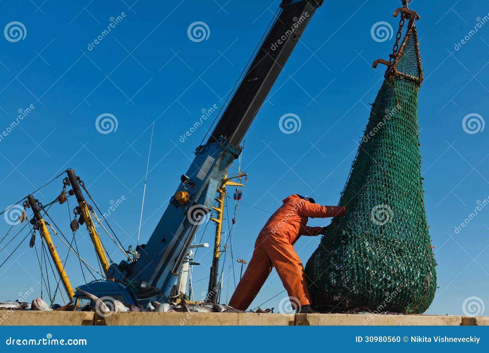 Unloading Fish from the Boat Stock Photo - Image of blue, fishing: 30980560