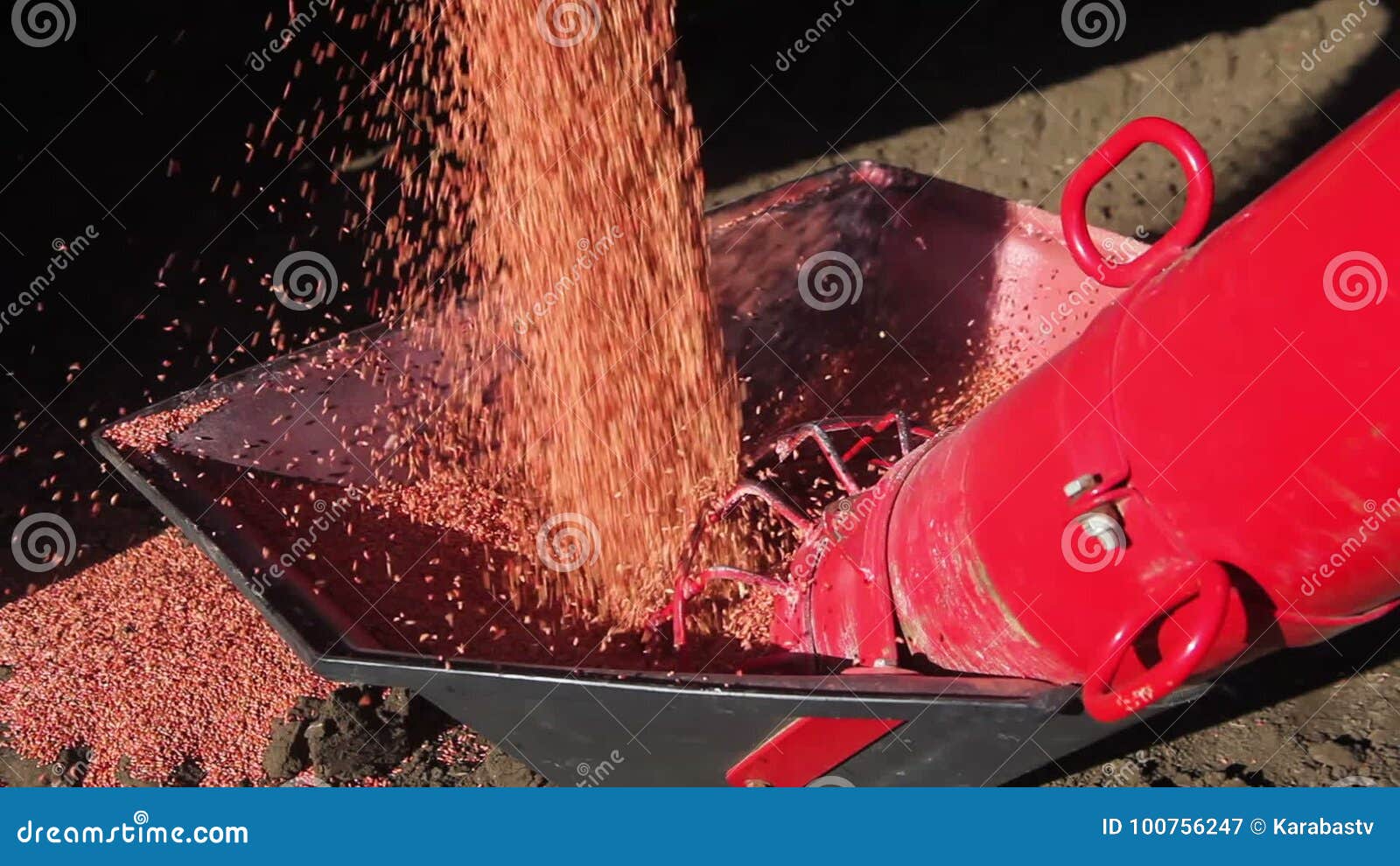 Unloading Grain from the Tractor Trailer in Silo Stock Video - Video of ...