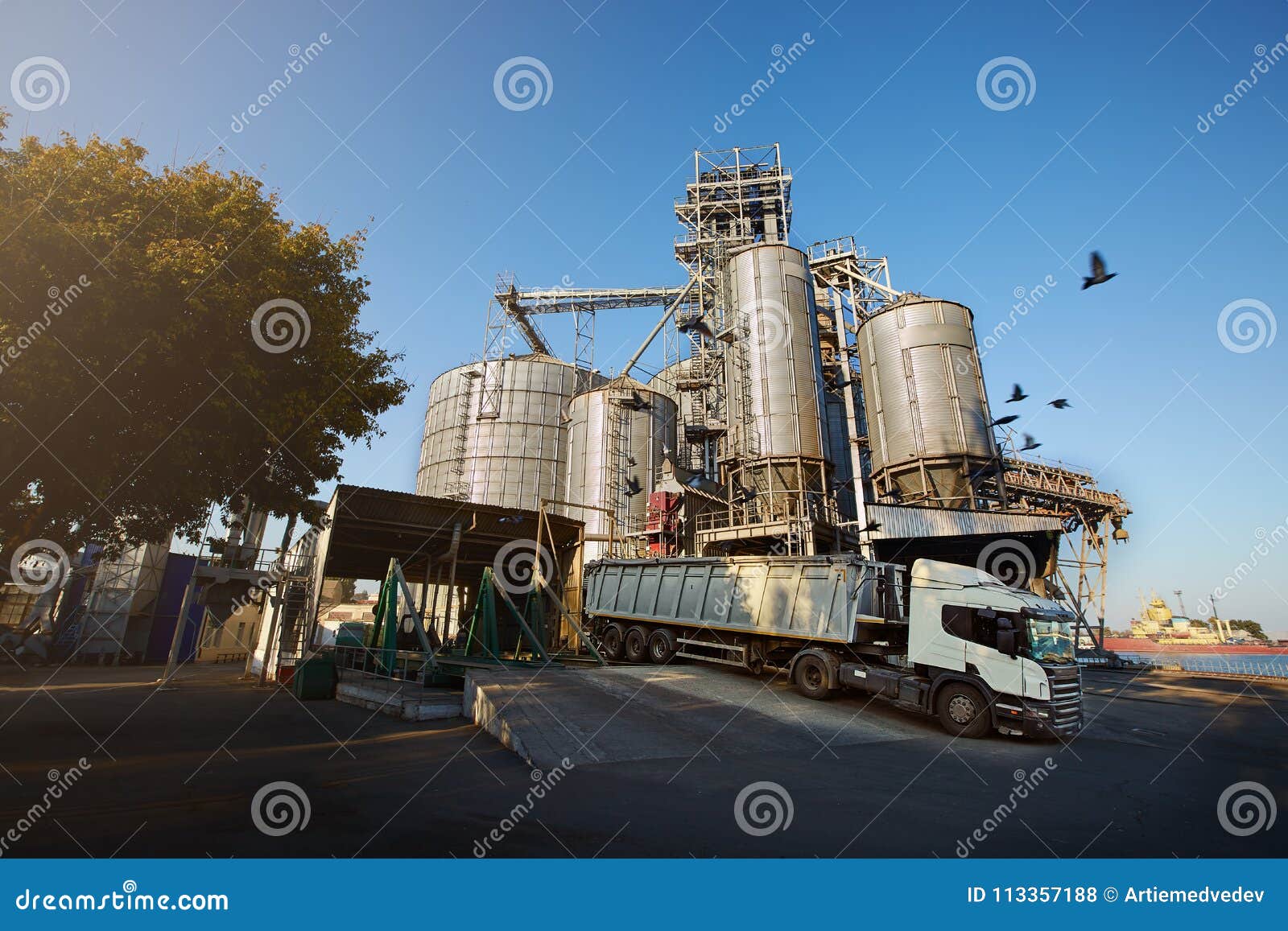 Unloading Grain Truck at Elevator on Elevating Hydraulic Platform ...
