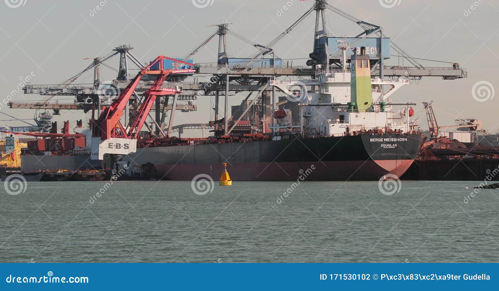 Unloading a huge coal ship stock footage. Video of port - 171530102