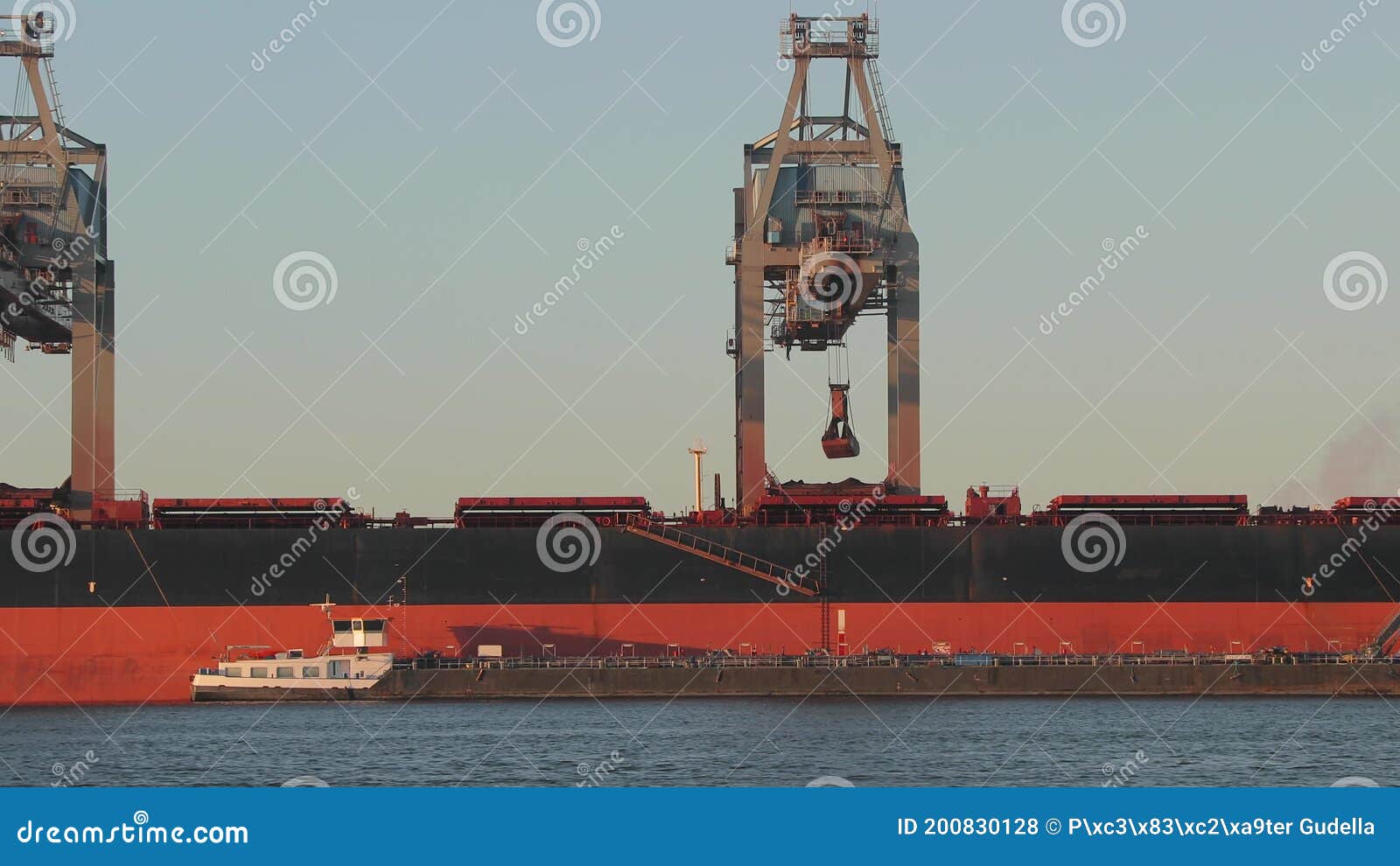 Unloading a huge coal ship stock footage. Video of rotterdam - 200830128