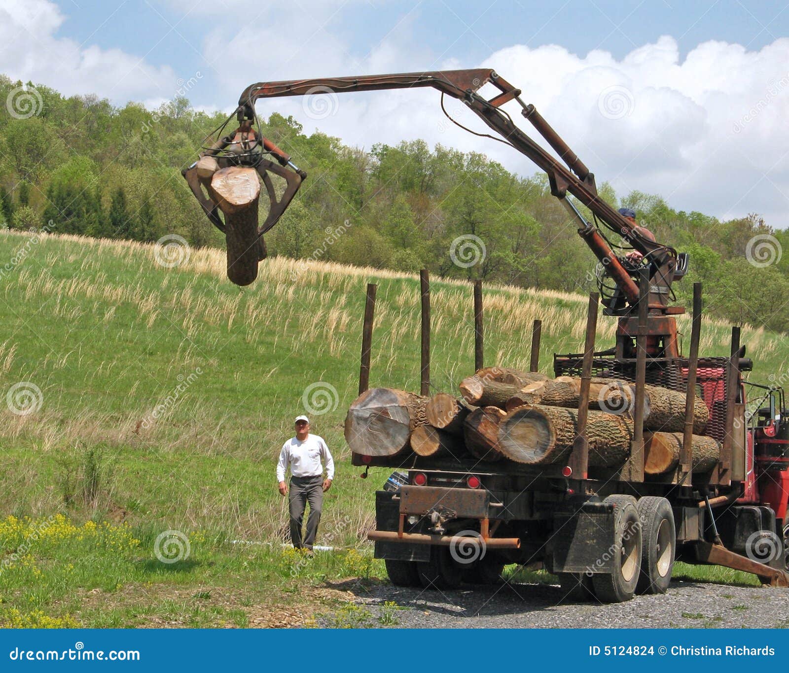 Unloading logs from truck stock photo. Image of load, transport - 5124824