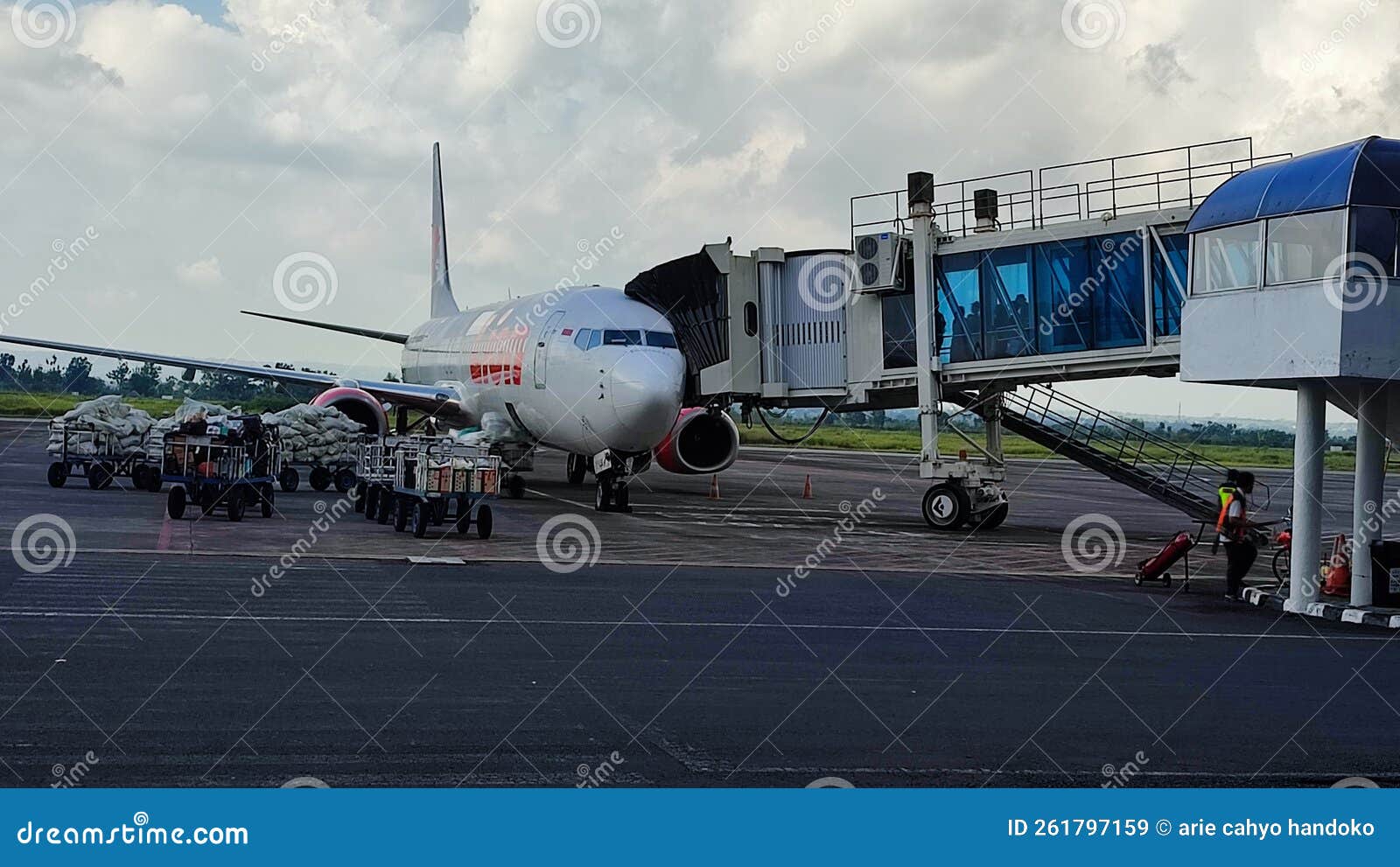 Unloading Passengers and Goods from the Plane Editorial Stock Image ...