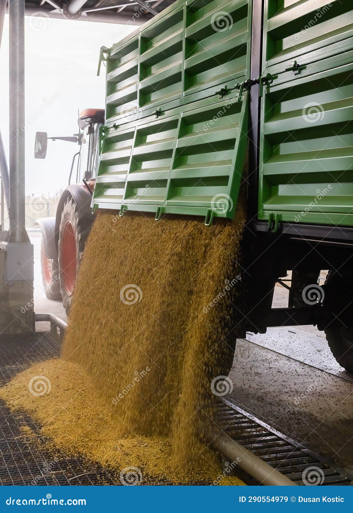 Unloading Soybeans into the Silo Stock Image - Image of agricultural ...