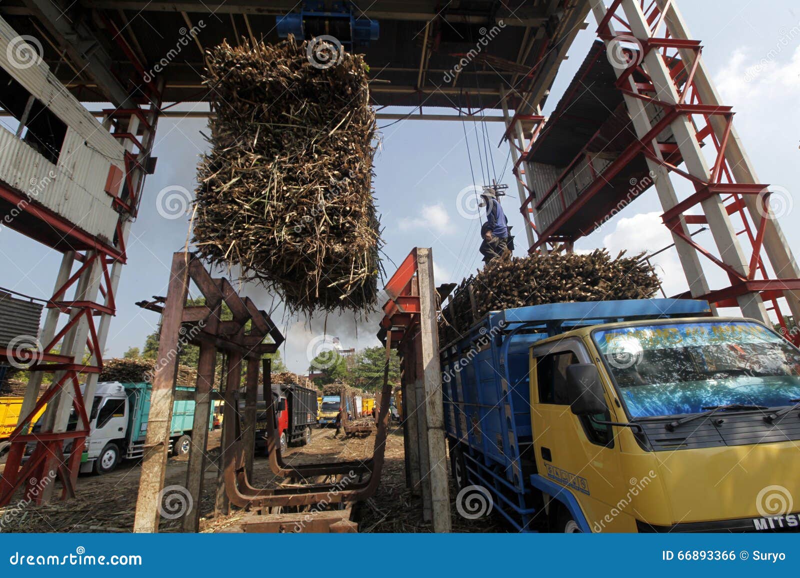 Unloading sugarcane editorial photo. Image of vehicle - 66893366