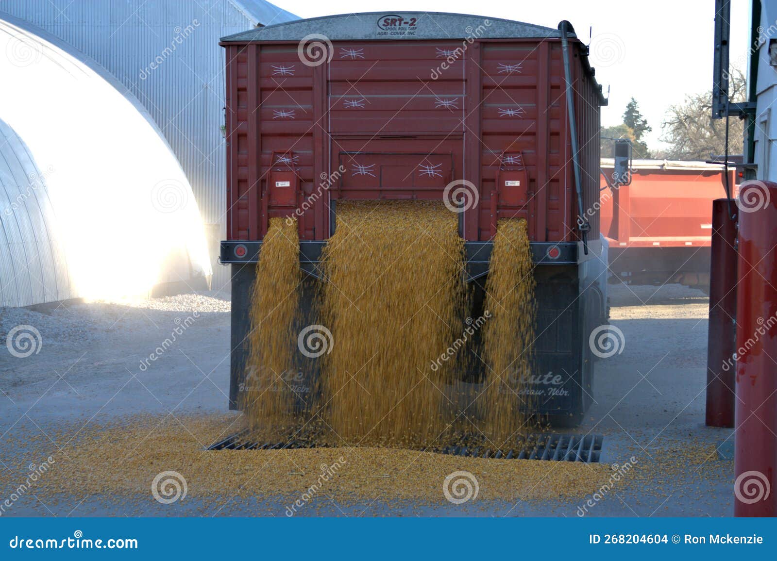 Unloading Truck Load of Corn Stock Photo - Image of flowing, landscape ...