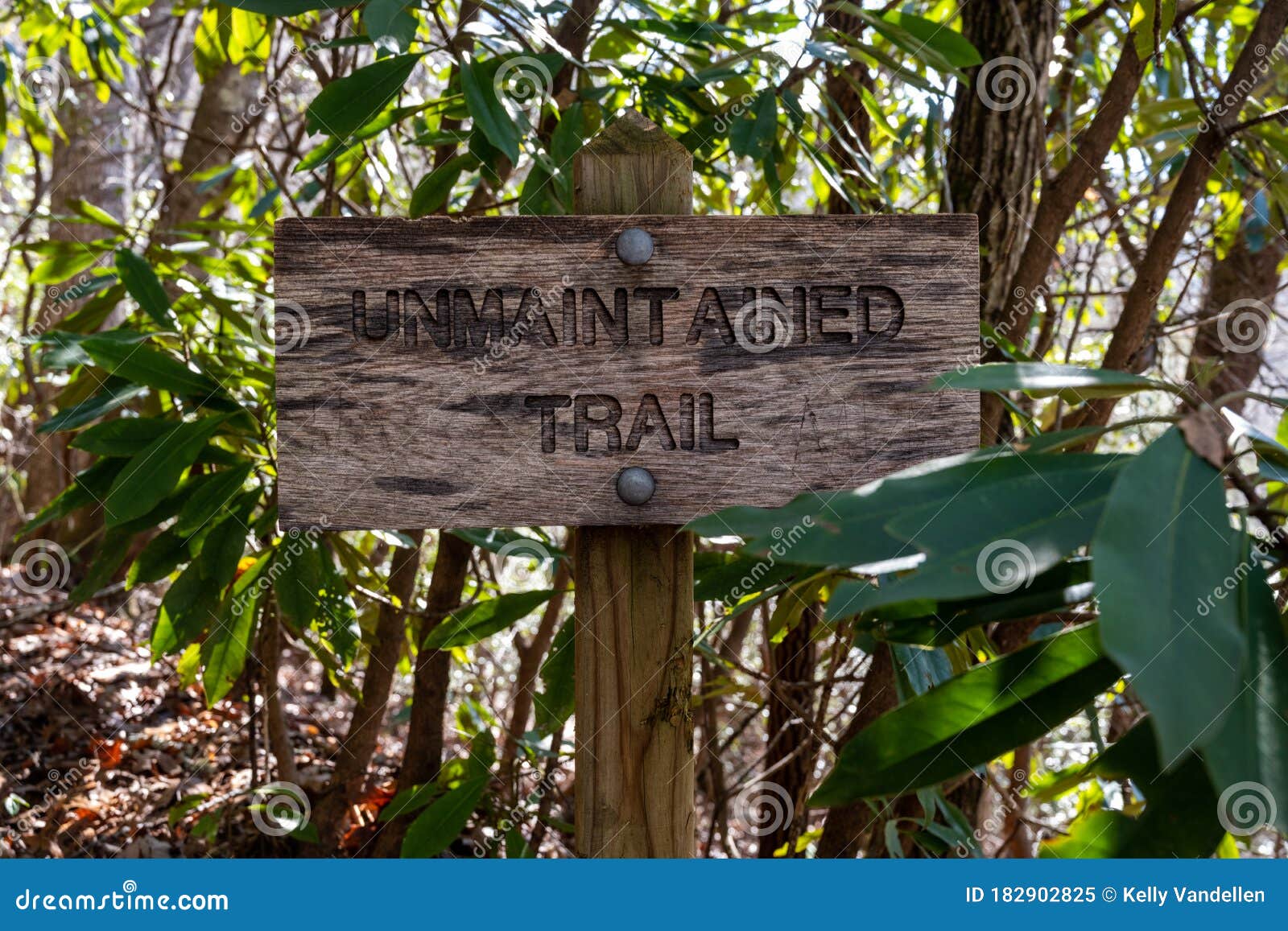 Unmaintained Trail Sign stock image. Image of post, nature - 182902825