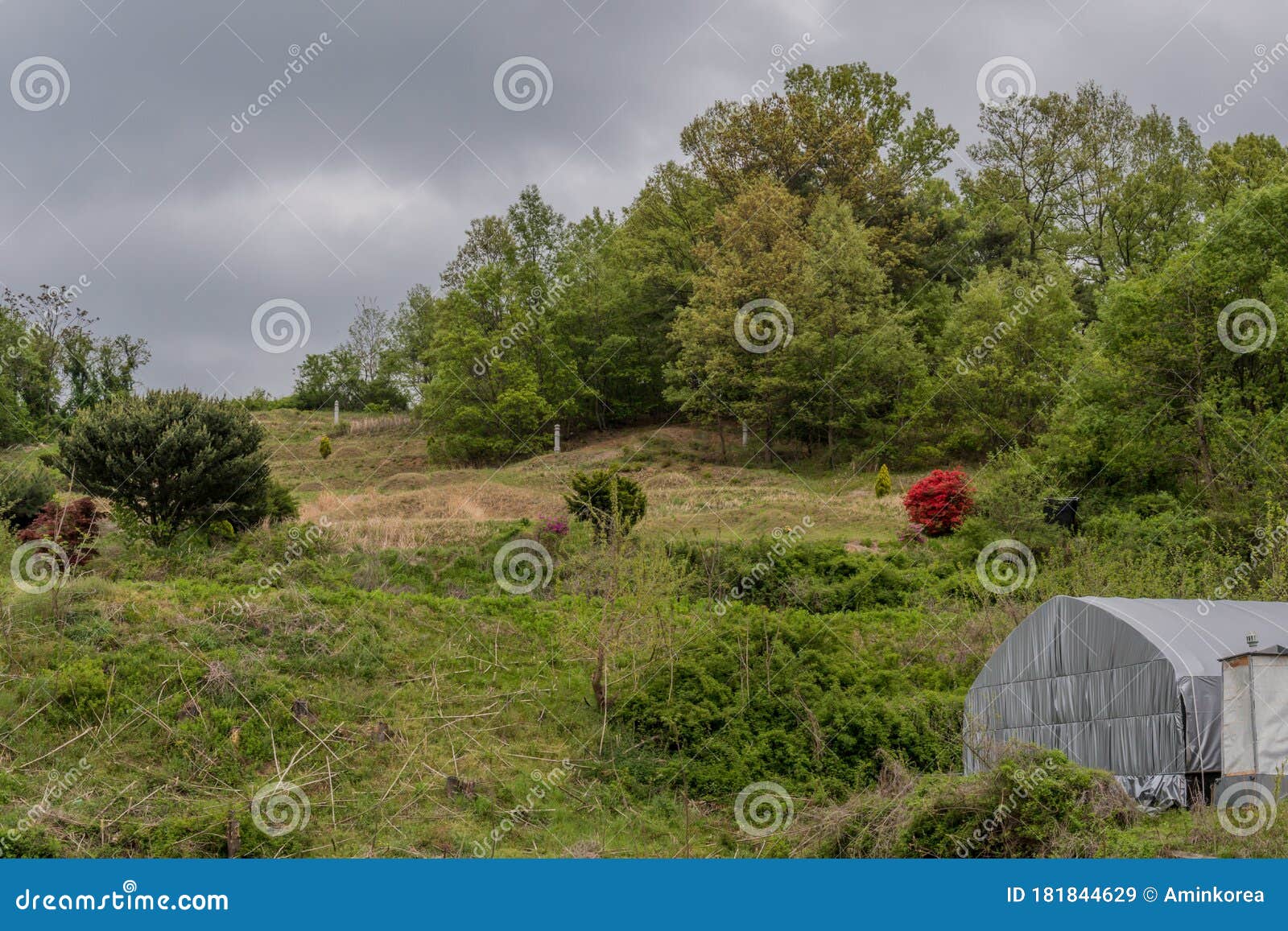Unmarked Graves in Family Burial Plot Stock Image - Image of family ...