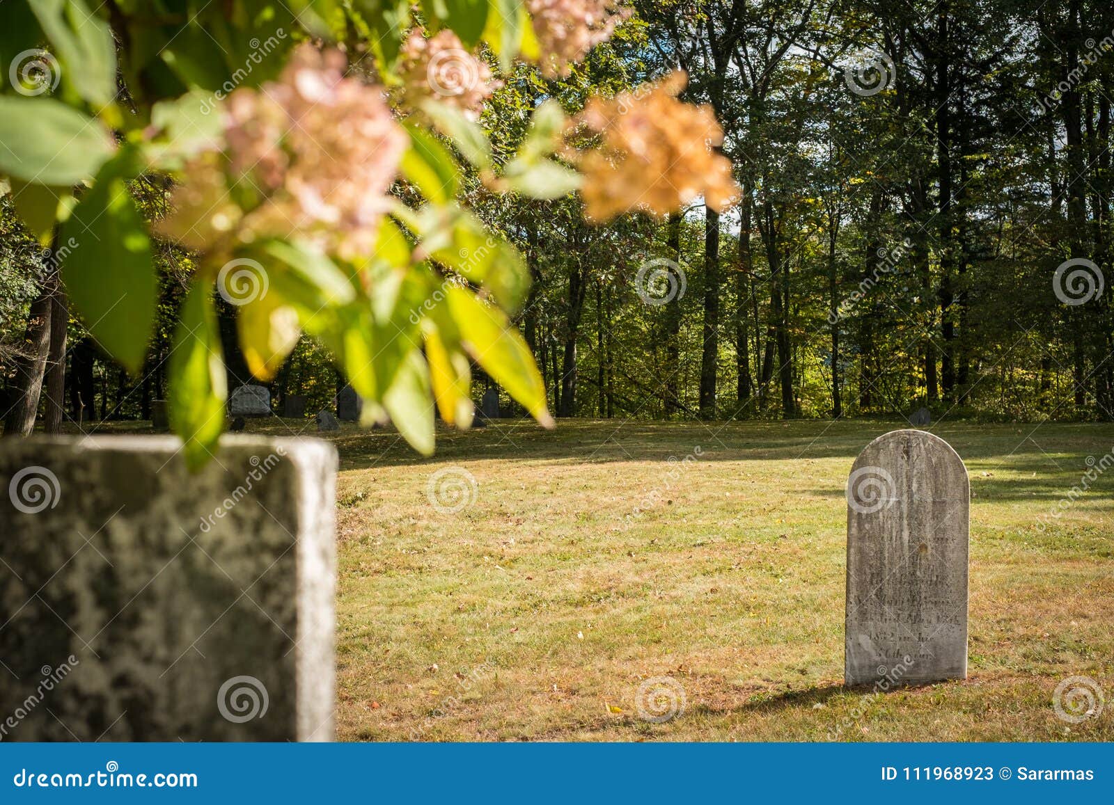 Unmarked Gravestones in a Sunny Cemetery. Stock Image - Image of dead ...