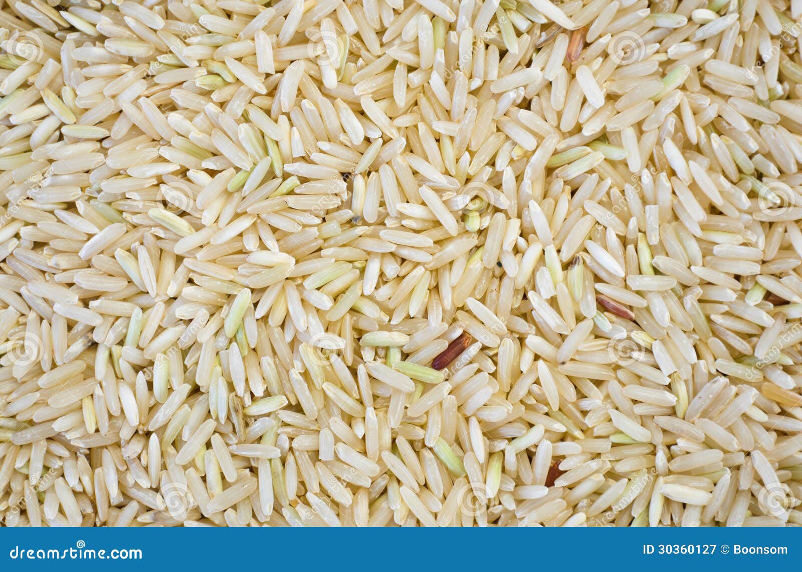 Unmilled rice background stock image. Image of closeup - 30360127