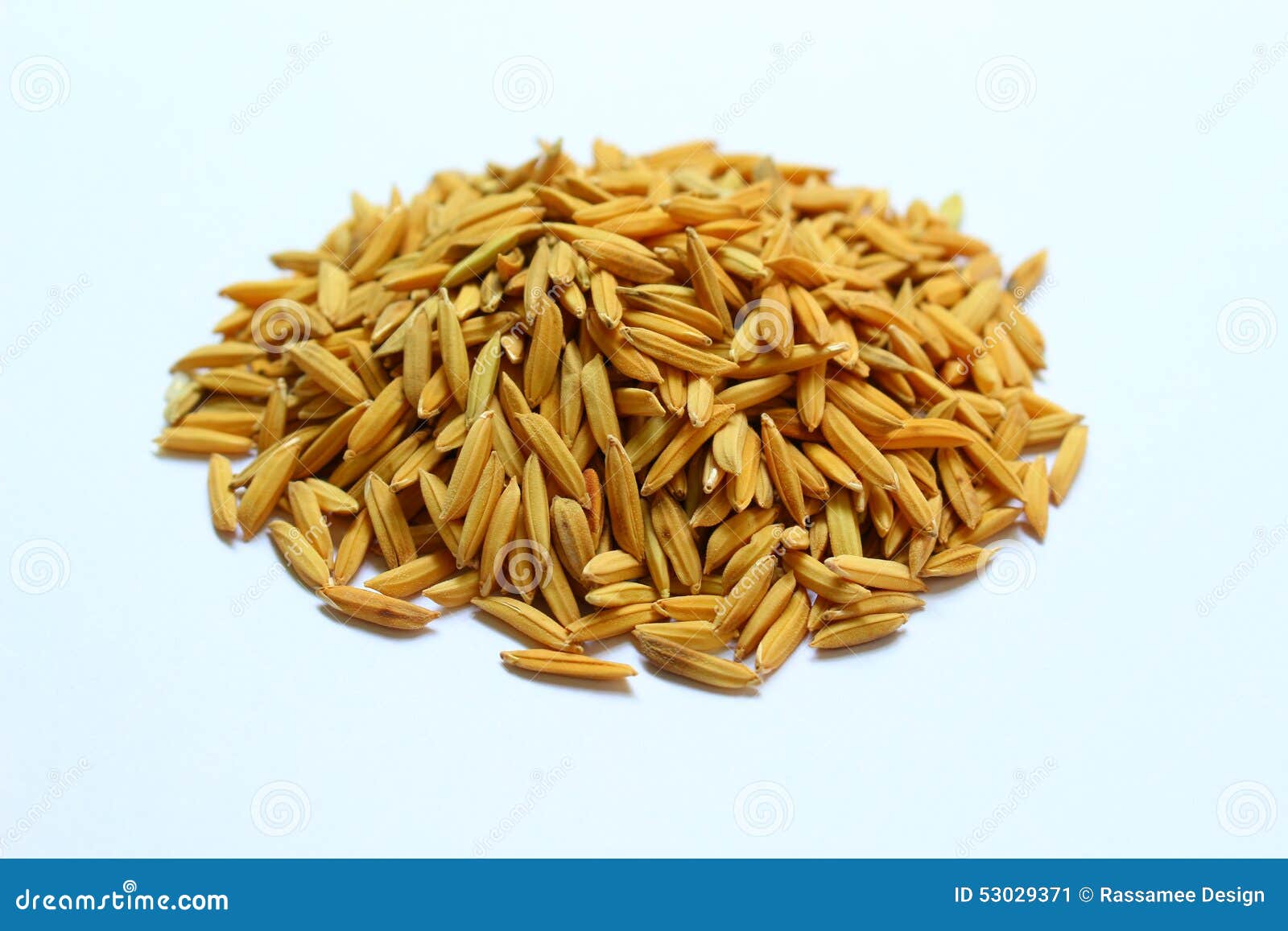 Unmilled Rice on White Background Stock Image - Image of organic, food ...