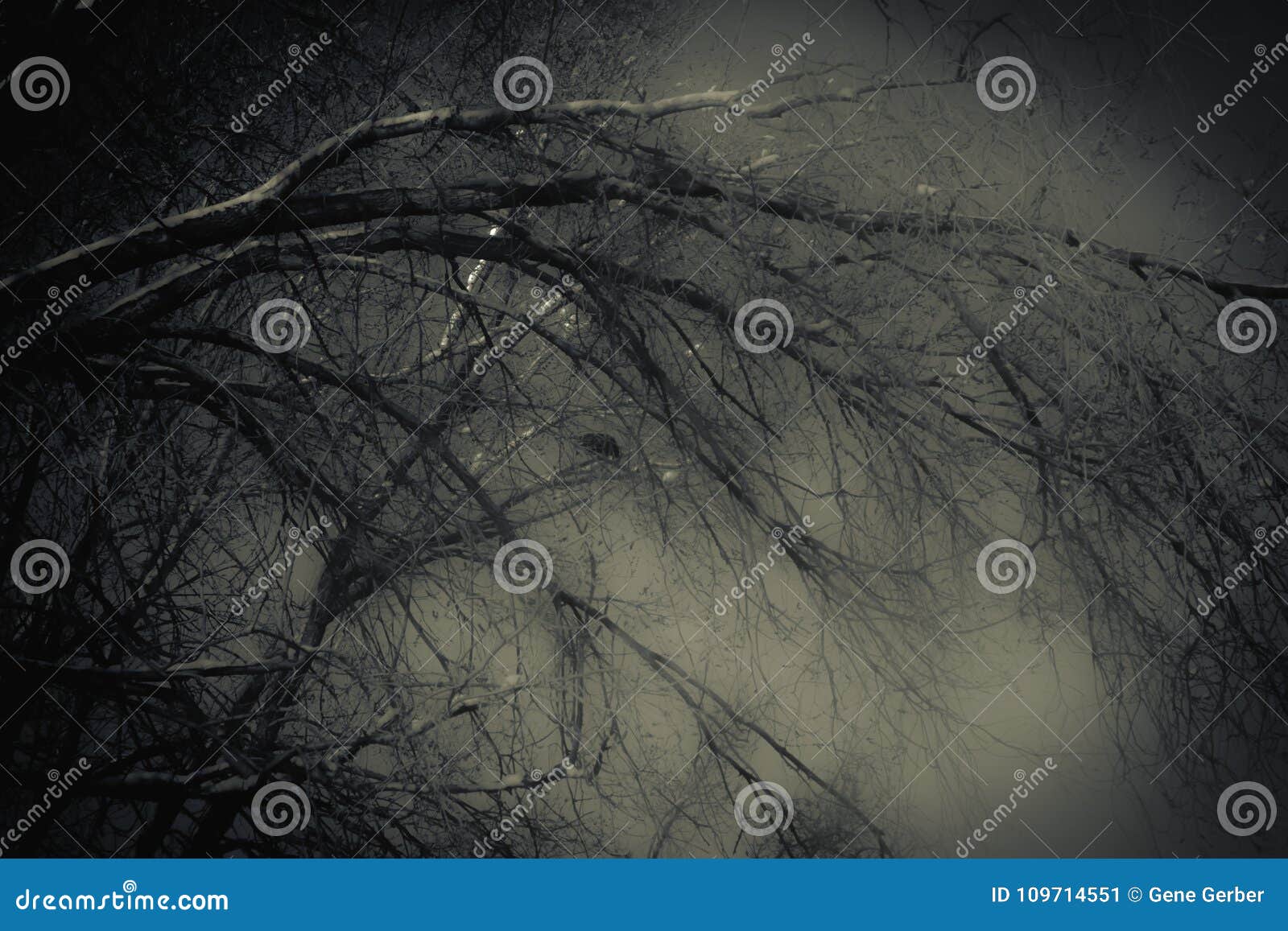 Unnatural Light stock image. Image of nature, black - 109714551