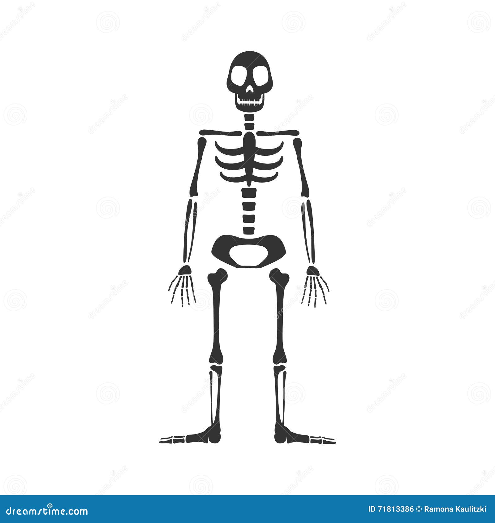 Uno scheletro illustrazione di stock. Illustrazione di spaventoso ...