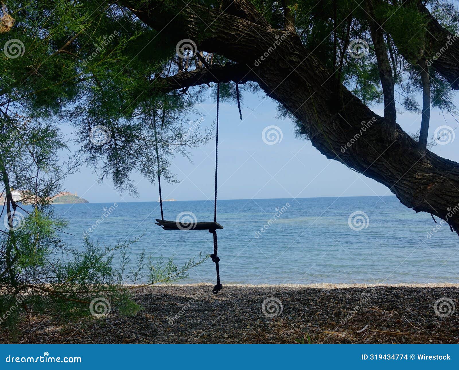 Unoccupied Swing Sways from Tree Branches on a Sandy Beach Stock Photo ...