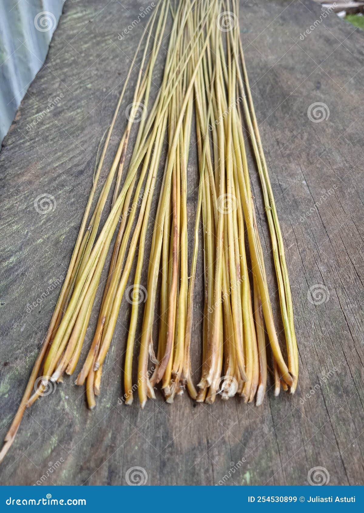 Unos Cuantos Palos De Hojas De Coco Imagen de archivo - Imagen de ...