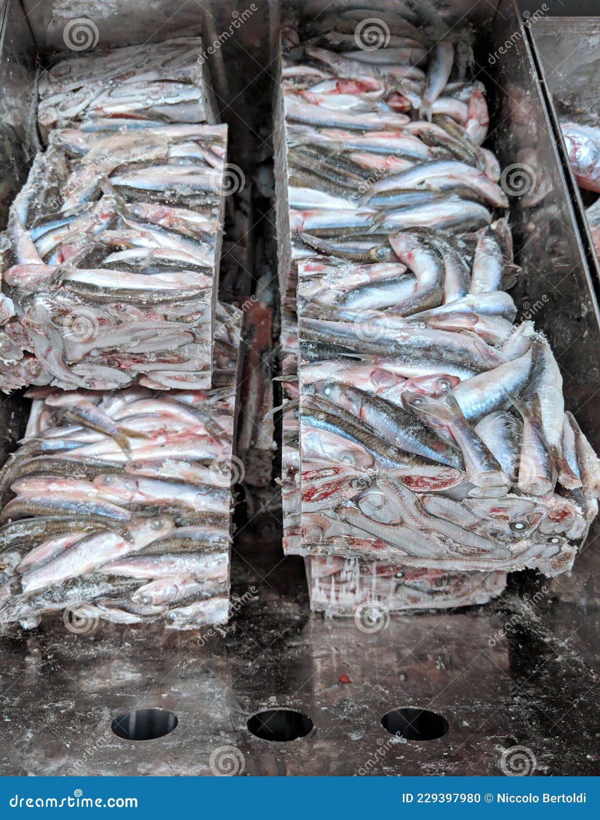 Block Frozen Fish in a Zero Waste Store Stock Photo - Image of store ...