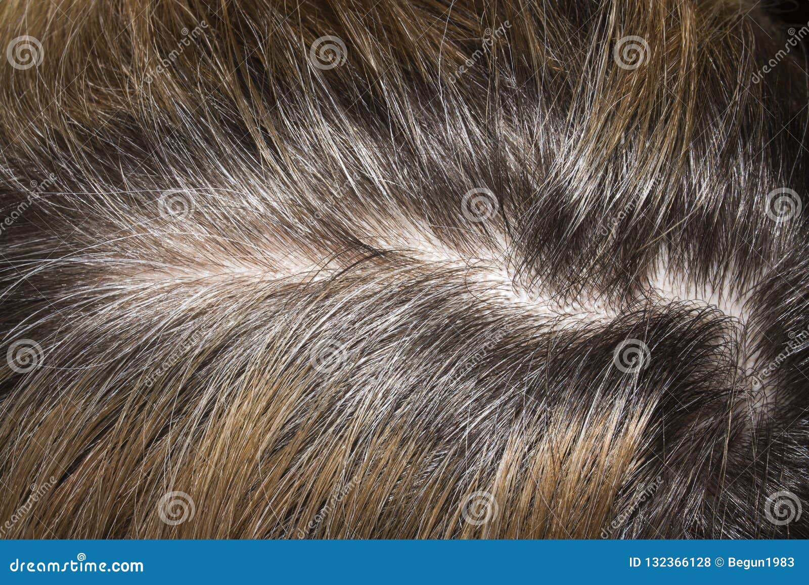 Unpainted hair roots. stock photo. Image of back, closeup - 132366128