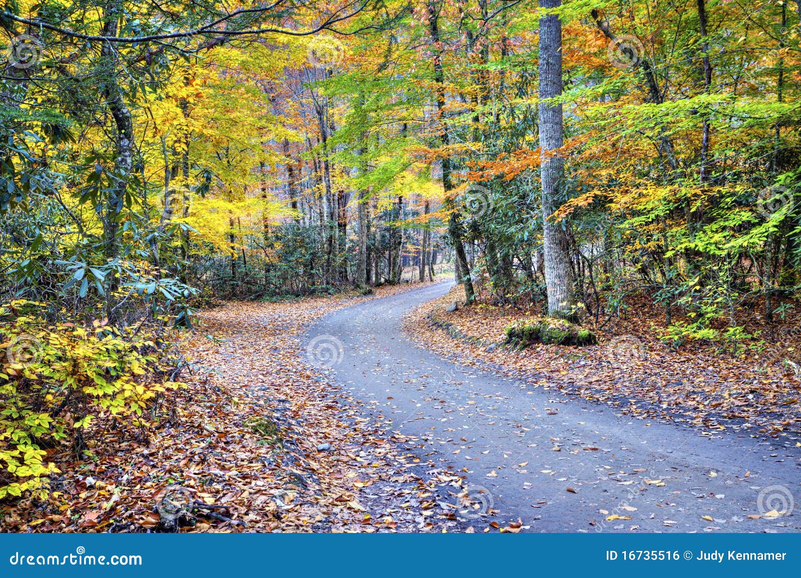 Unpaved Fall Road with Colorful Trees Stock Photo - Image of outdoors ...
