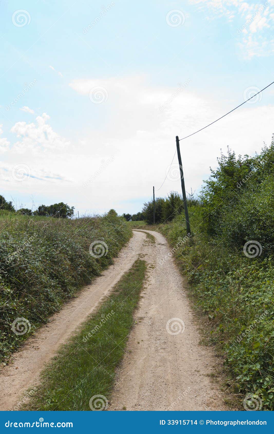 Unpaved road amidst plants stock photo. Image of france - 33915714