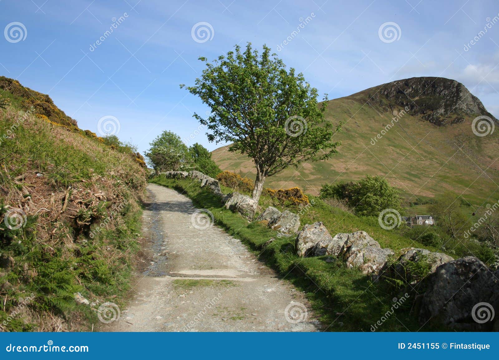 Unpaved road in country stock image. Image of scenic, footpath - 2451155