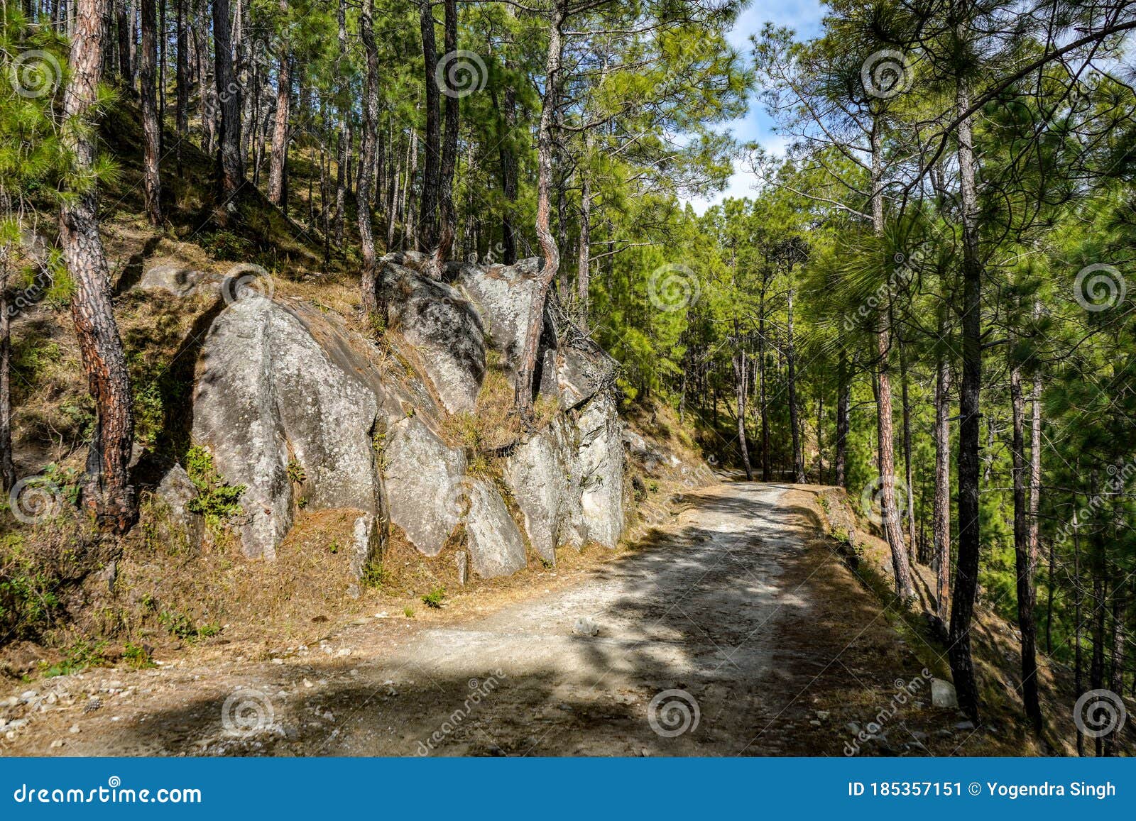 Unpaved Road in the Forest Going Nowhere in the Mountains Stock Image ...
