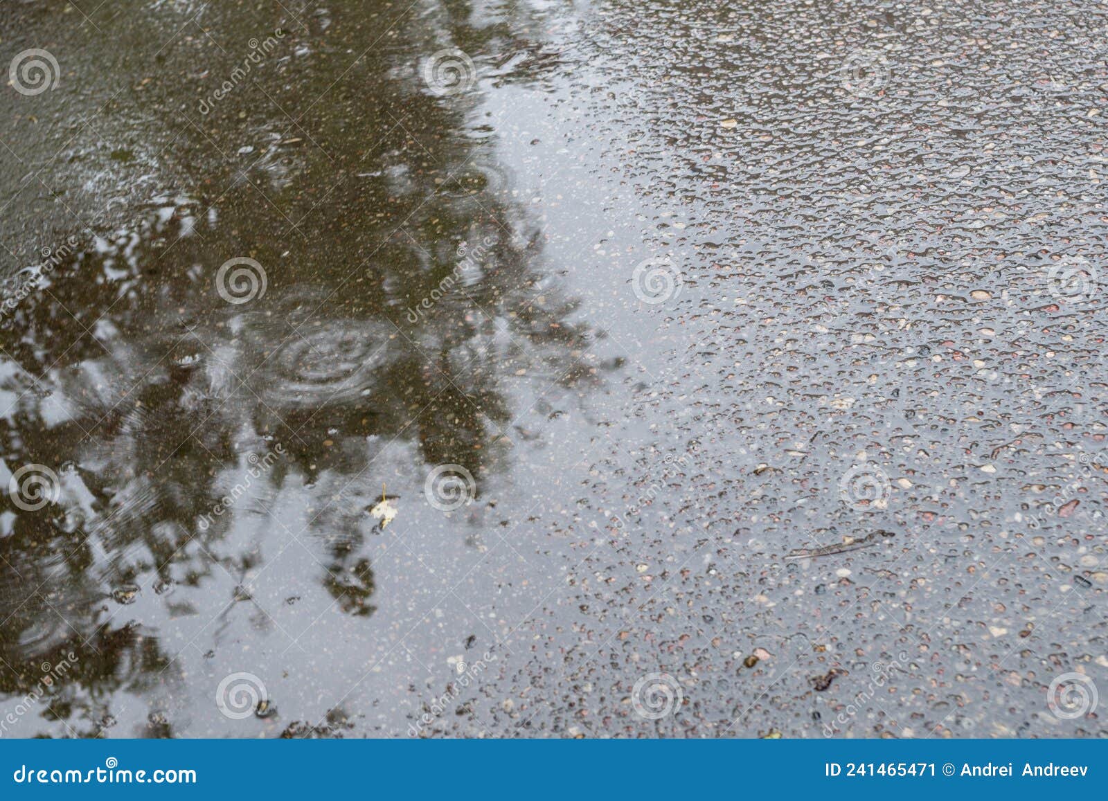 Unpaved Road with Many Small Pebbles, Wet from Rain, with Shallow ...