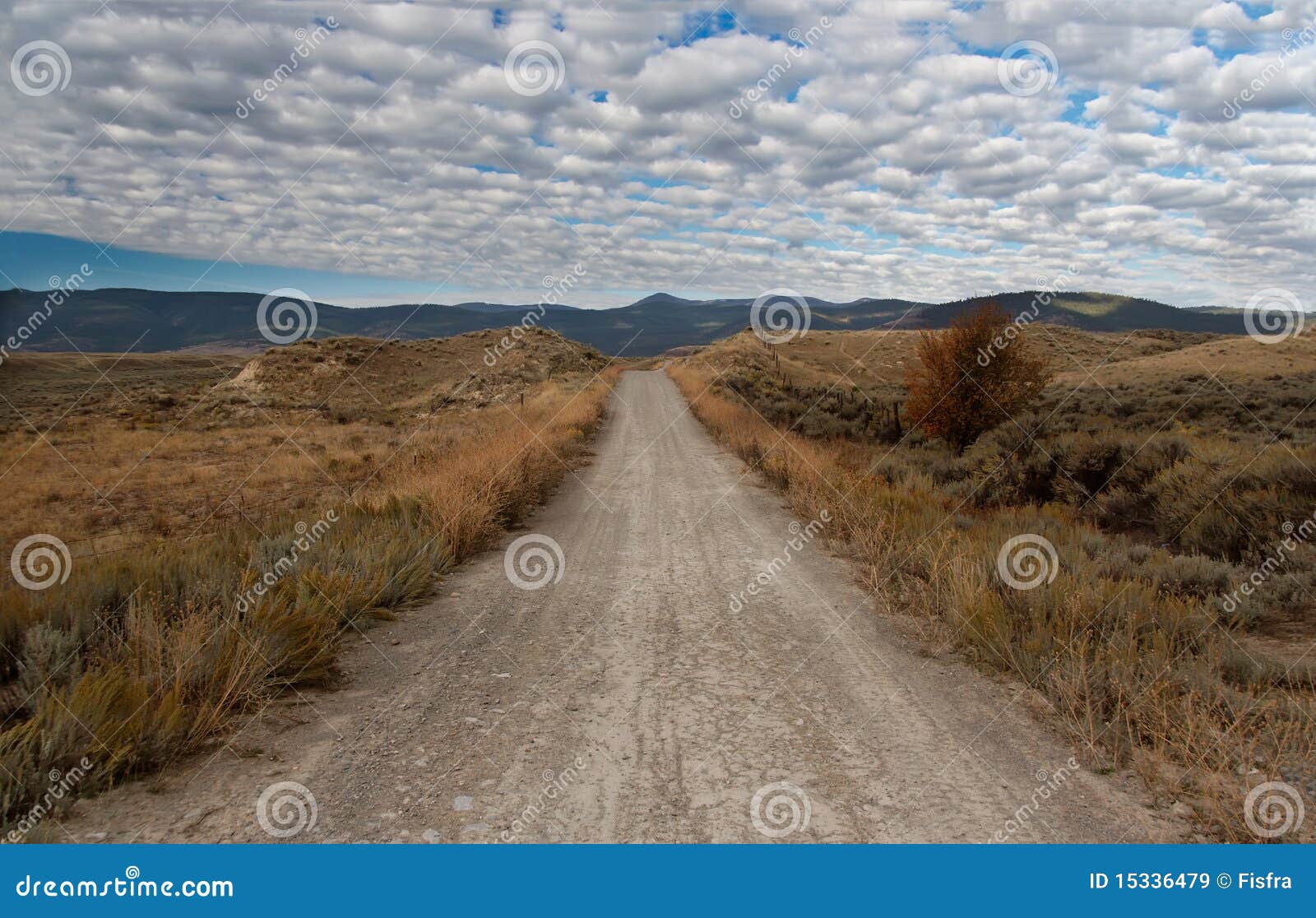 Unpaved Road in Montana stock image. Image of plain, states - 15336479