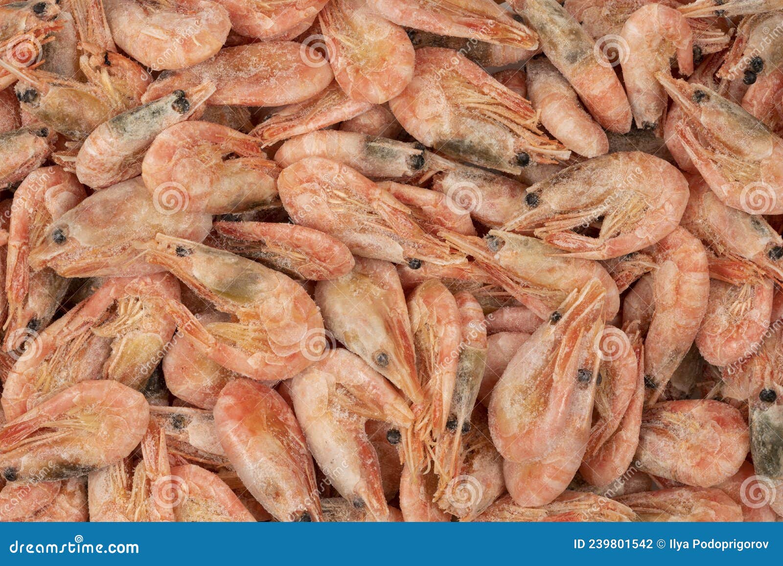 Unpeeled Frozen Shrimp Background Texture Stock Photo - Image of ...