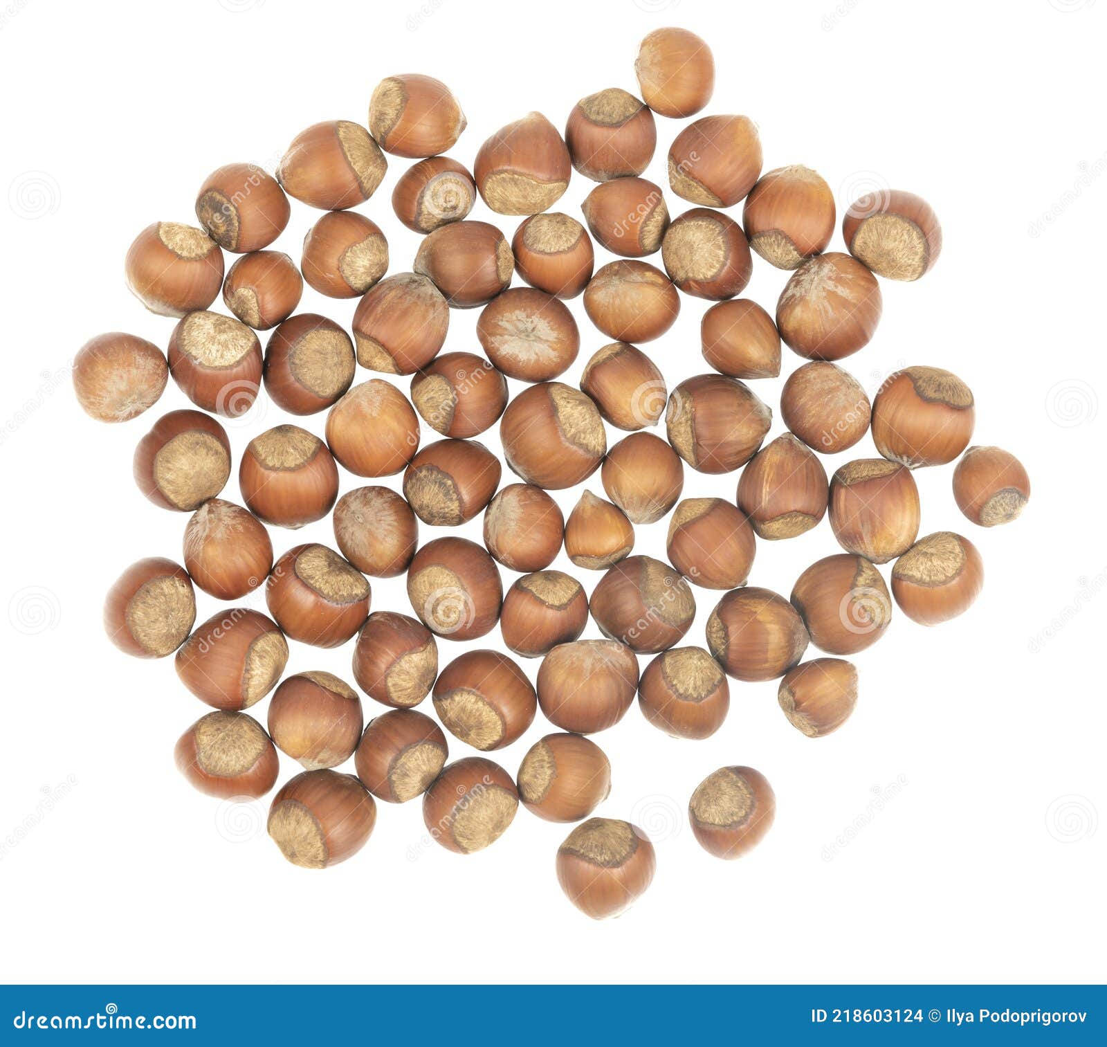Unpeeled Hazelnuts Isolated on a White Background. Hazelnuts in Shell ...