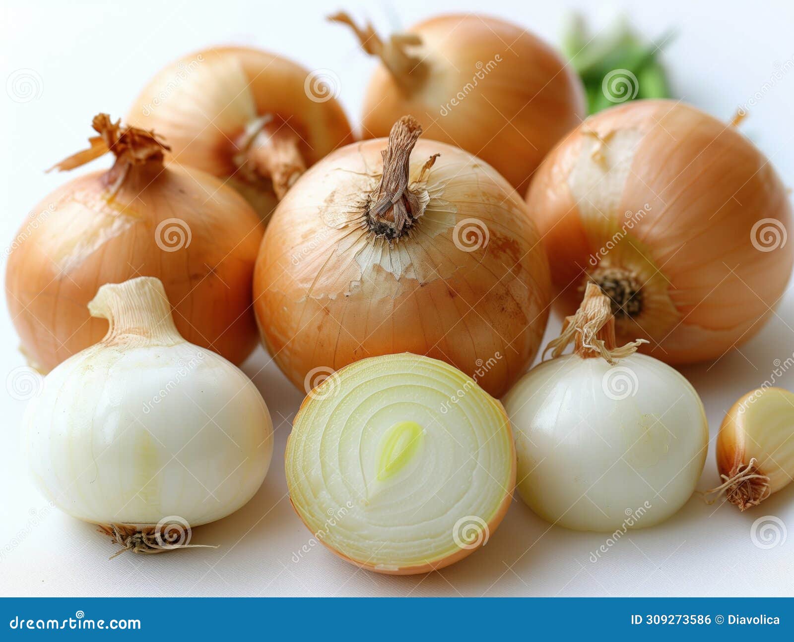Unpeeled Onion on White Background Stock Illustration - Illustration of ...