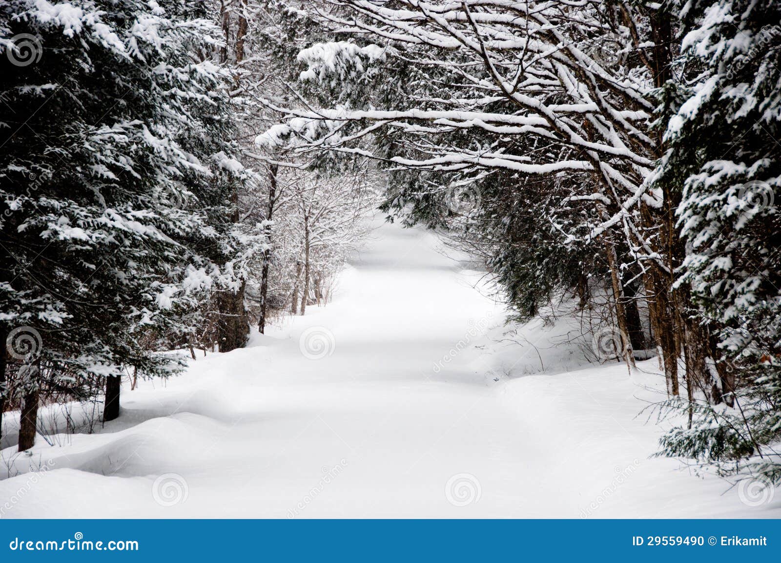 Unplowed Country Road after Heavy Snow Stock Photo - Image of road ...