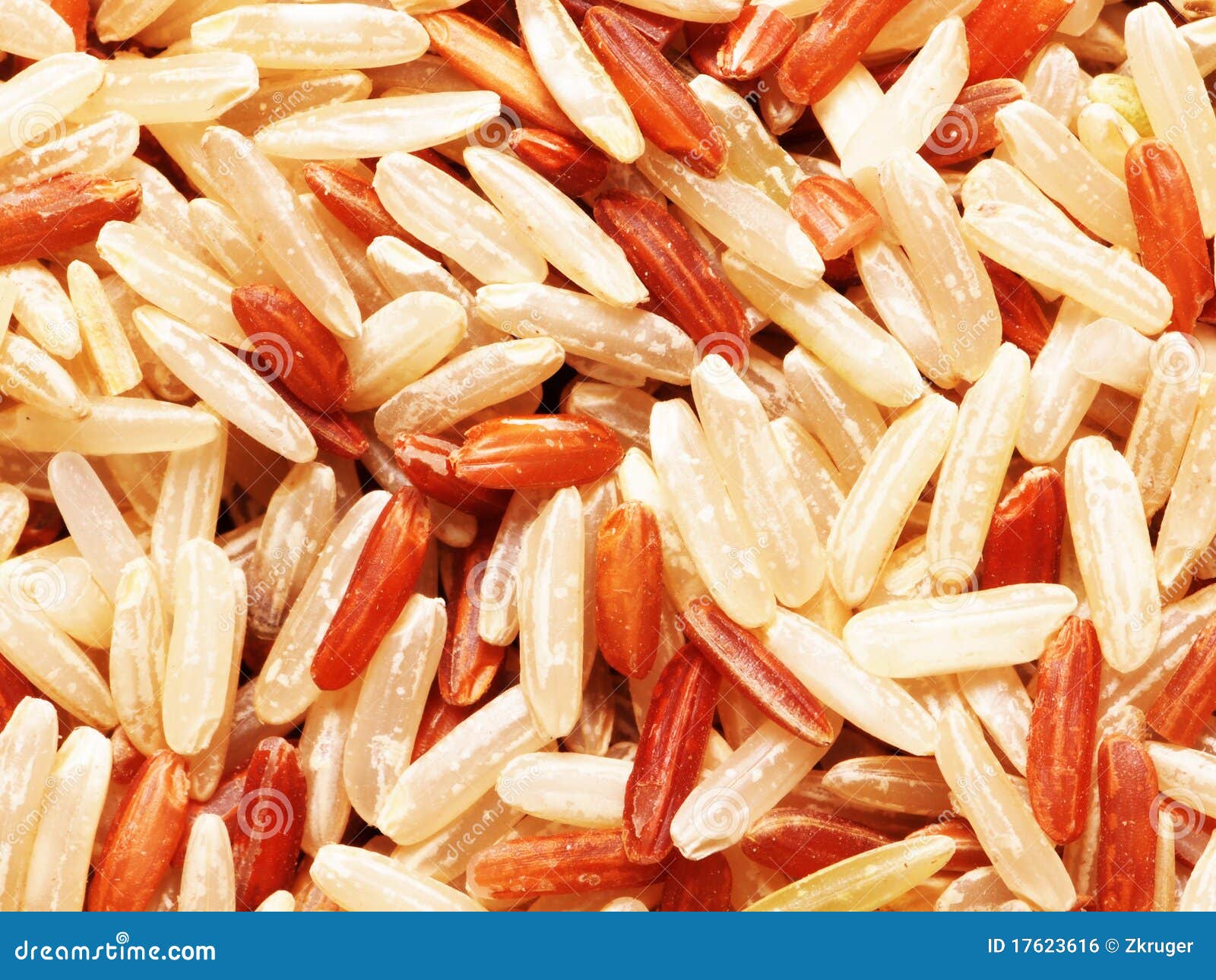 Unpolished rice stock photo. Image of grains, color, uncooked - 17623616