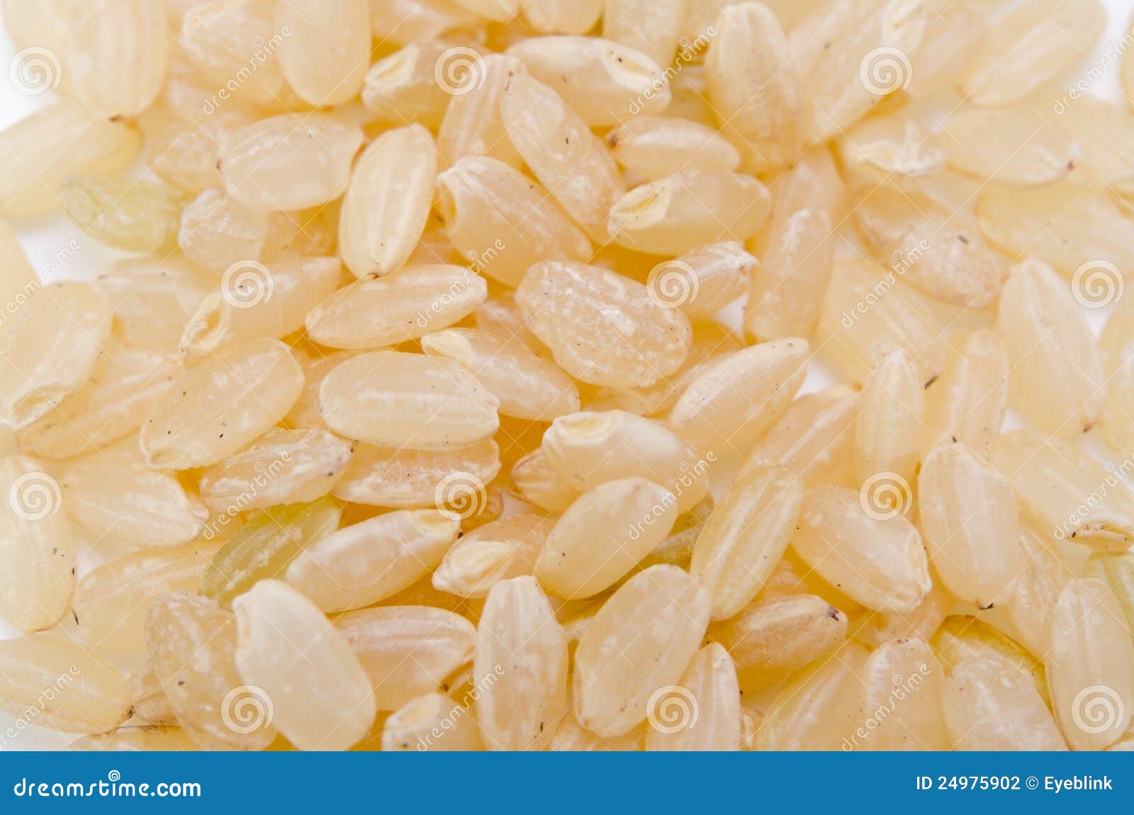 Unpolished rice stock photo. Image of rice, brown, fresh - 24975902