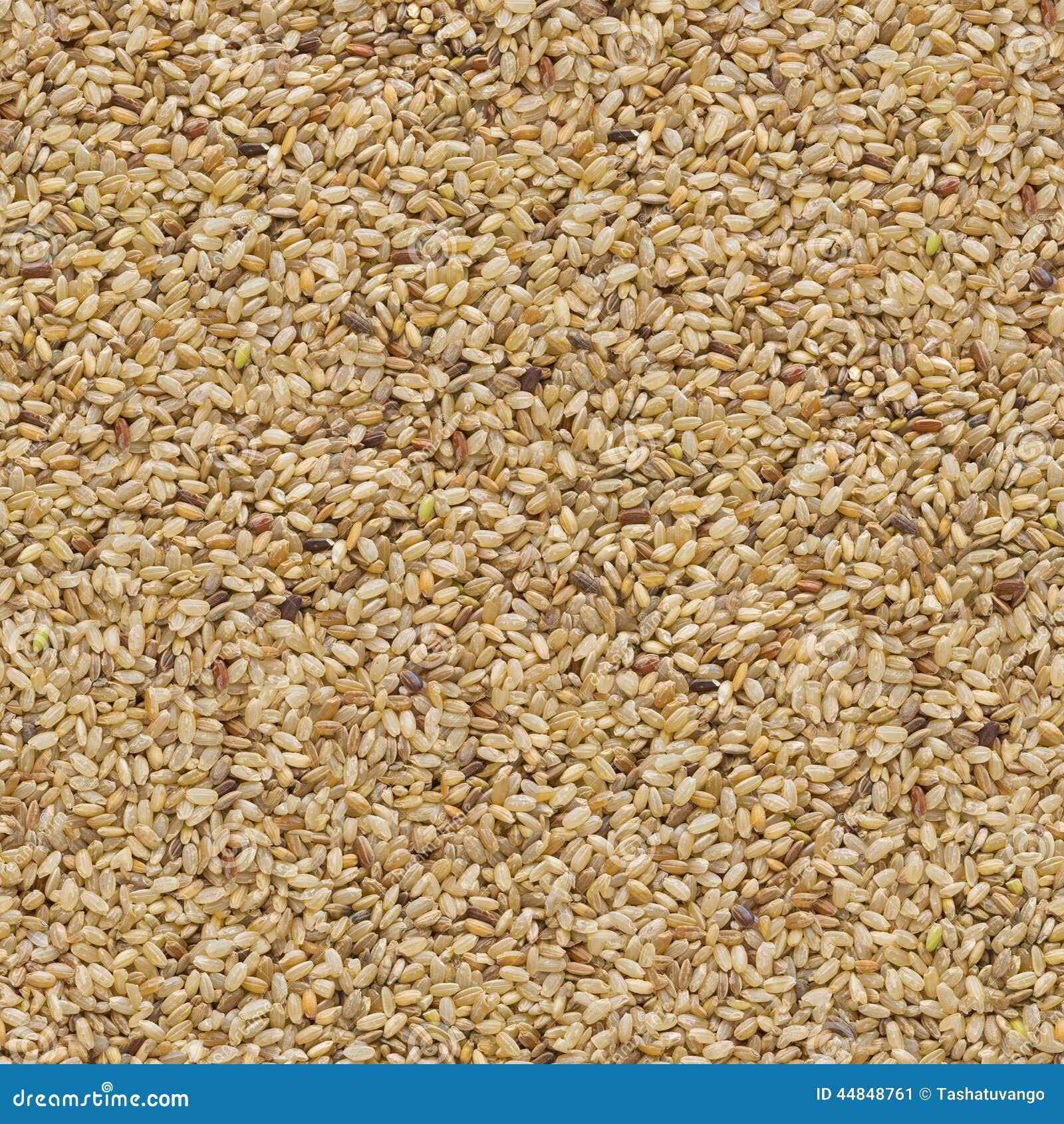 Unpolished Rice Background. Seamless Texture. Royalty-Free Stock Photo ...