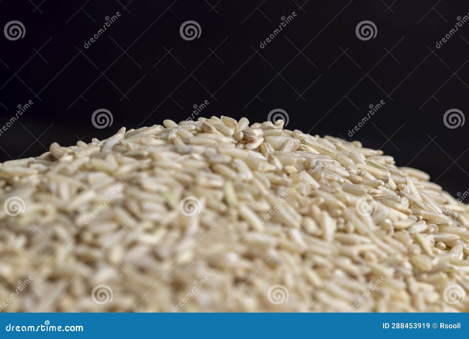 Unprocessed Healthy Dark Rice, Close Up Stock Image - Image of seed ...