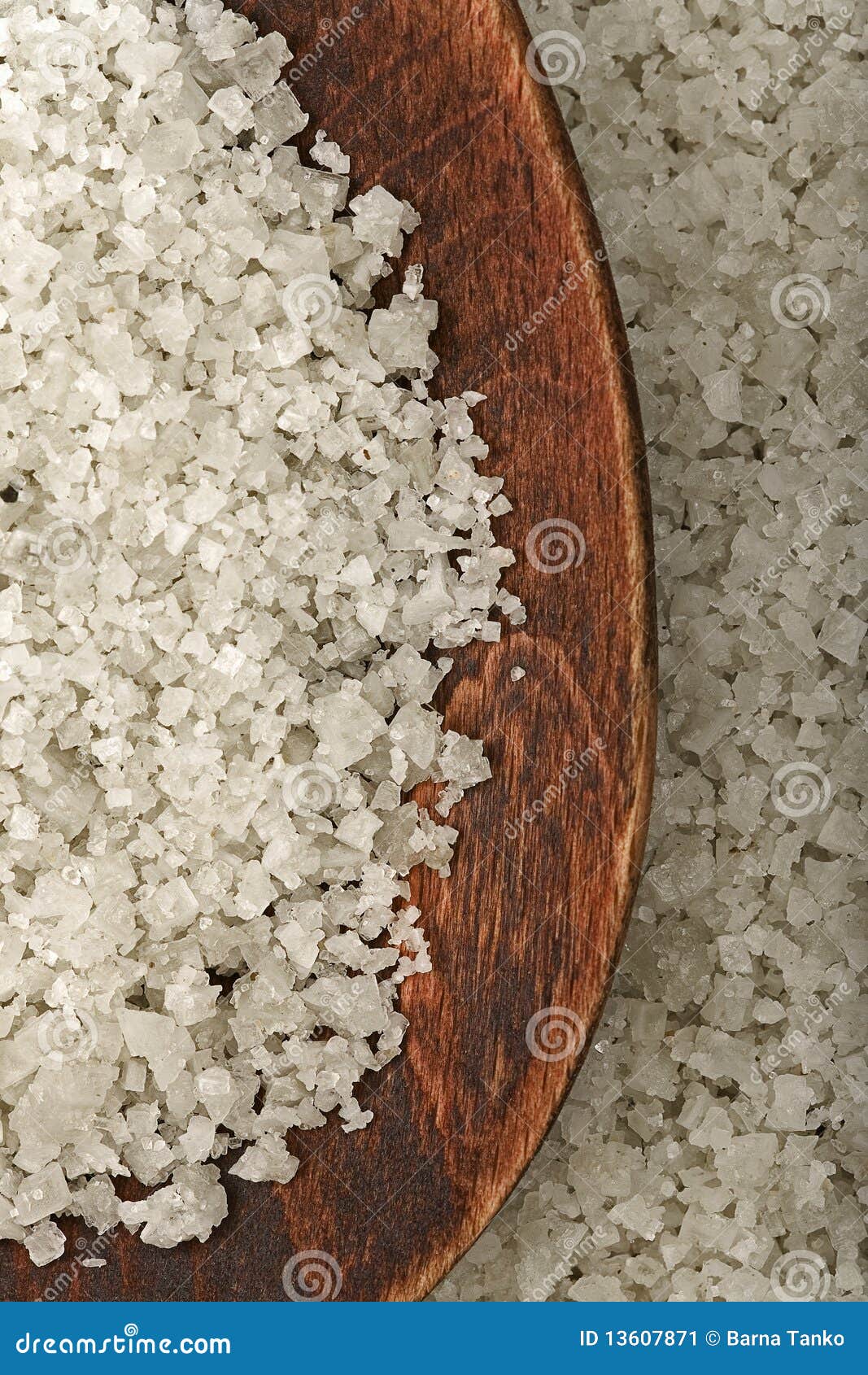Unprocessed salt stock image. Image of details, taste - 13607871