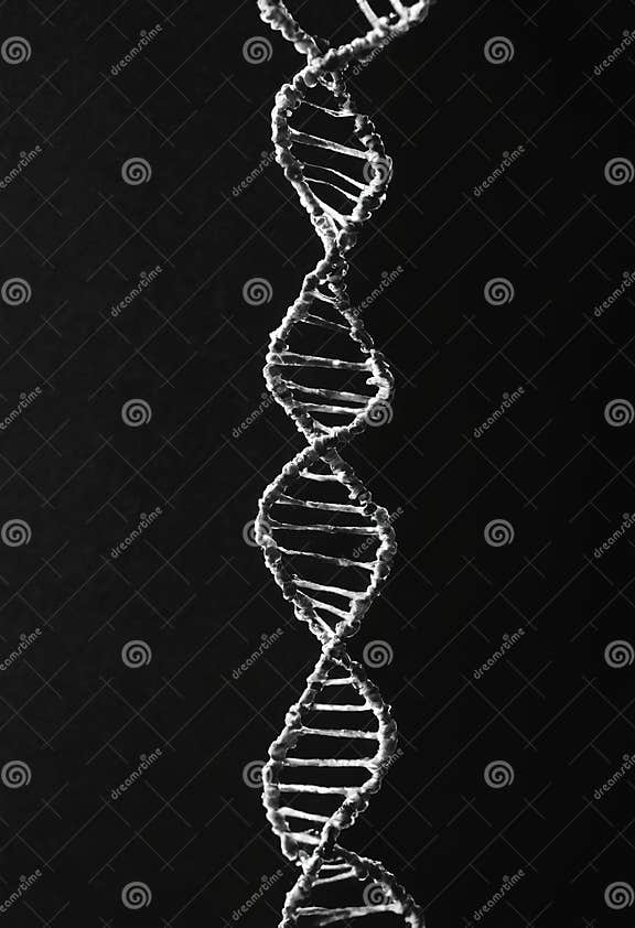 Unraveling Genetics: Color-Coded DNA Structure Visualization Stock ...