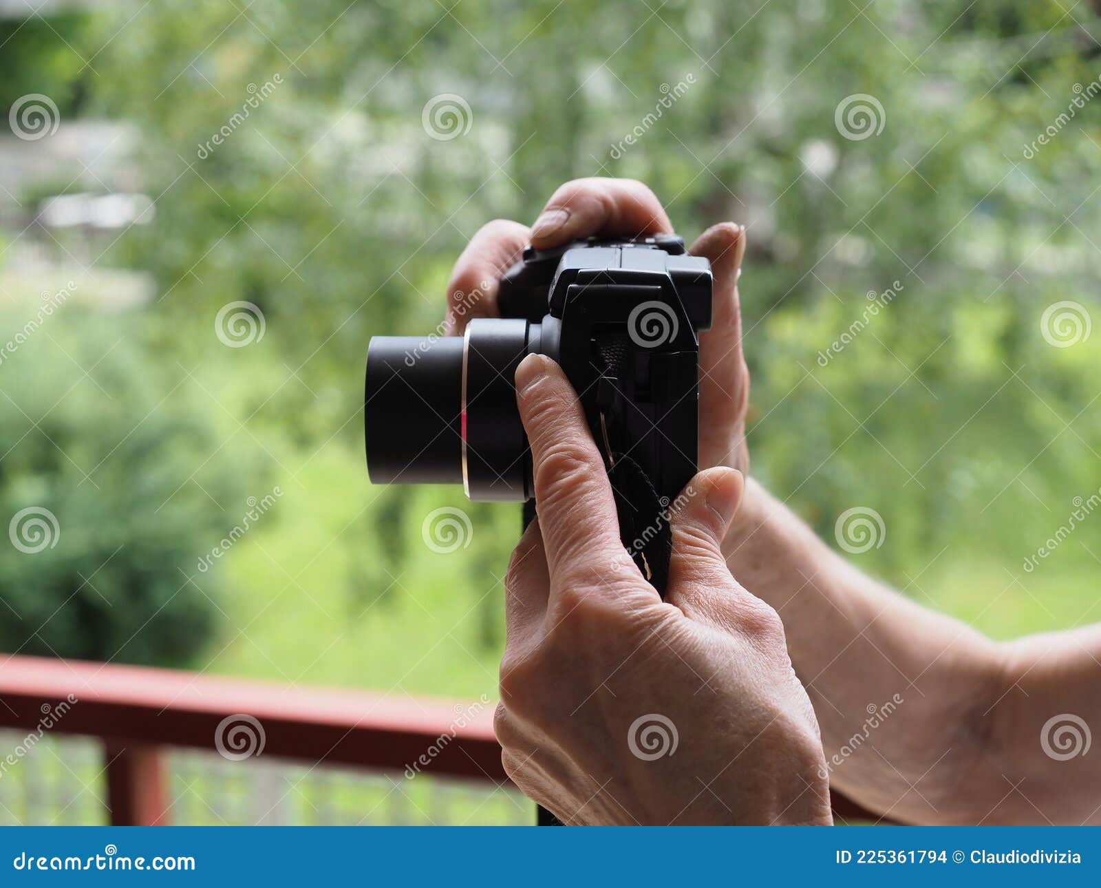 Unrecognisable Person Holding Gamera Stock Photo - Image of greenery ...