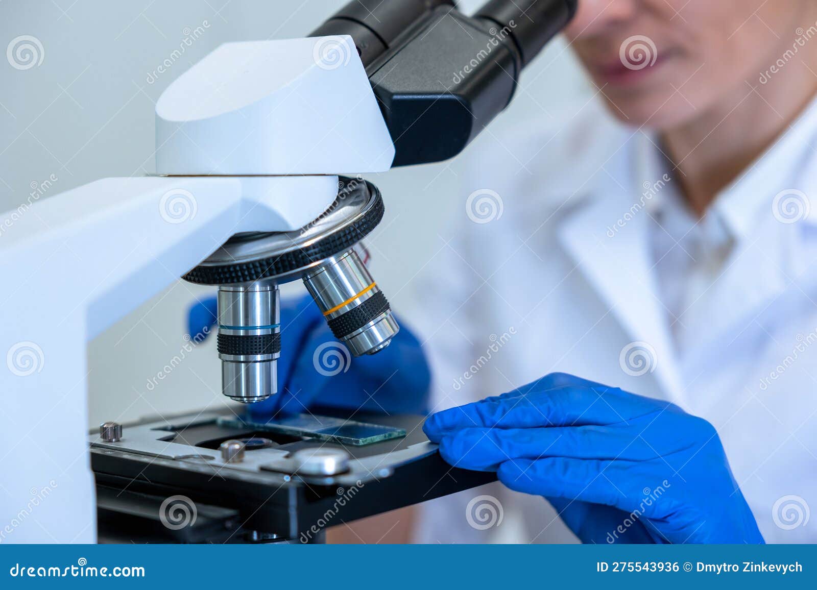 Unrecognizable Female Scientist Looking Petri Dish with Genetically ...