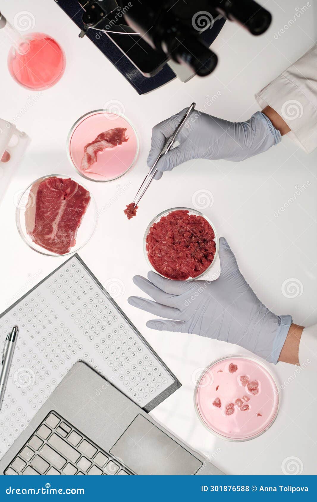 Scientist Conducting Research on Raw Meat Stock Photo - Image of ...