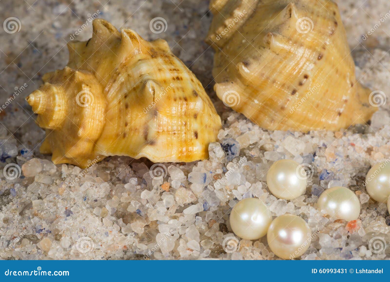 Unrefined Natural Sea Salt, Pearl and Shell Stock Image - Image of ...