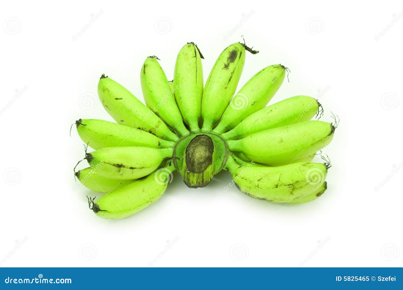 Unripe baby bananas stock image. Image of exotic, hand - 5825465