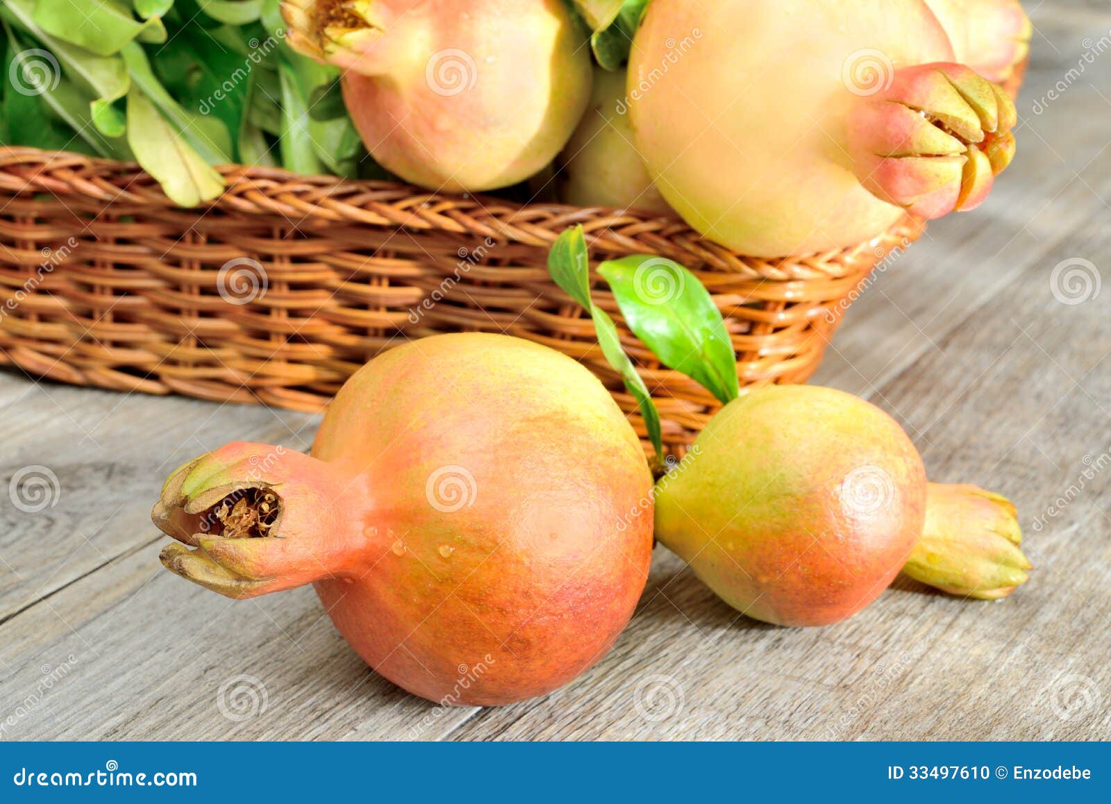 Unripe pomegranates stock photo. Image of pomegranate - 33497610
