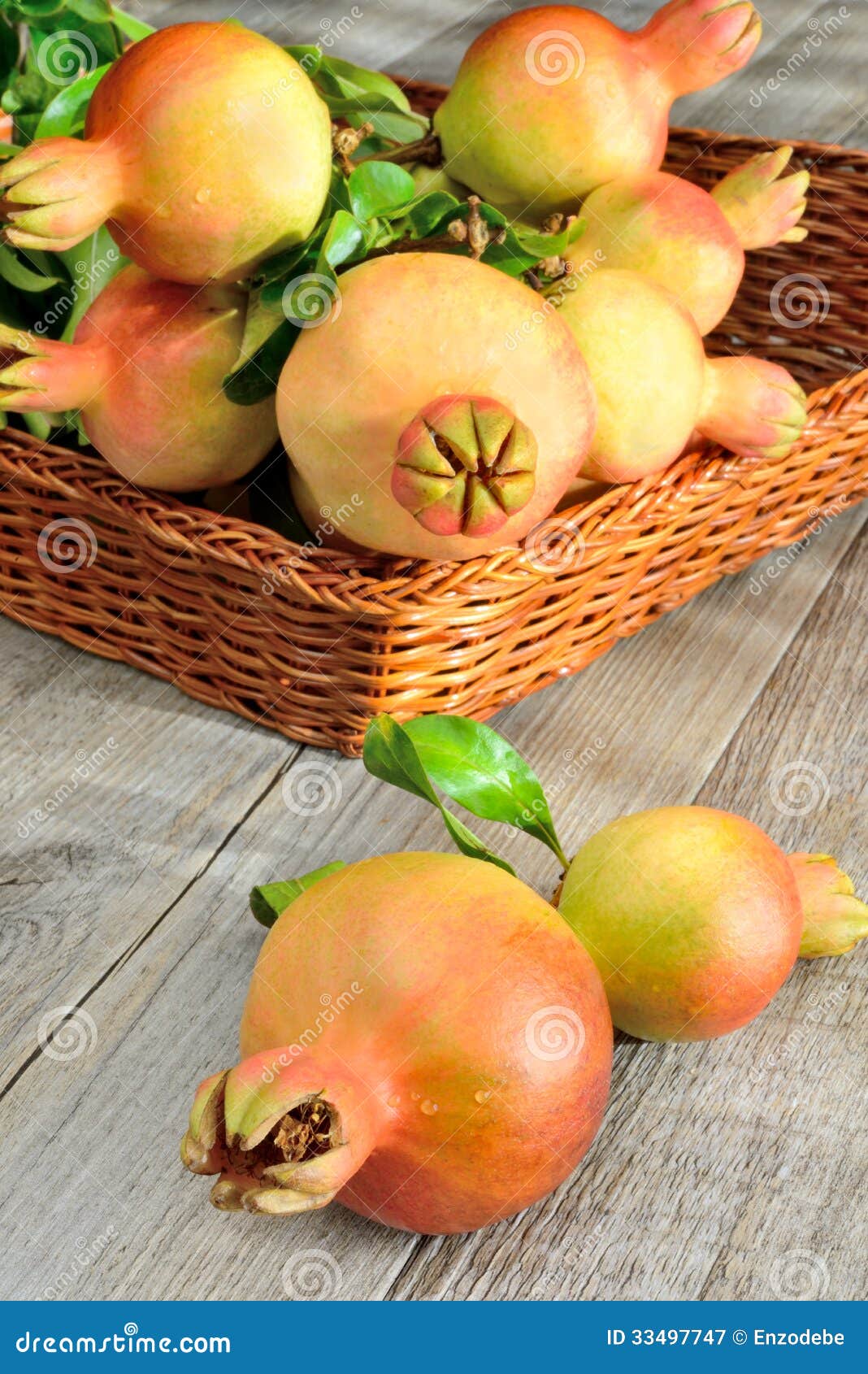 Unripe pomegranates stock image. Image of nature, produce - 33497747