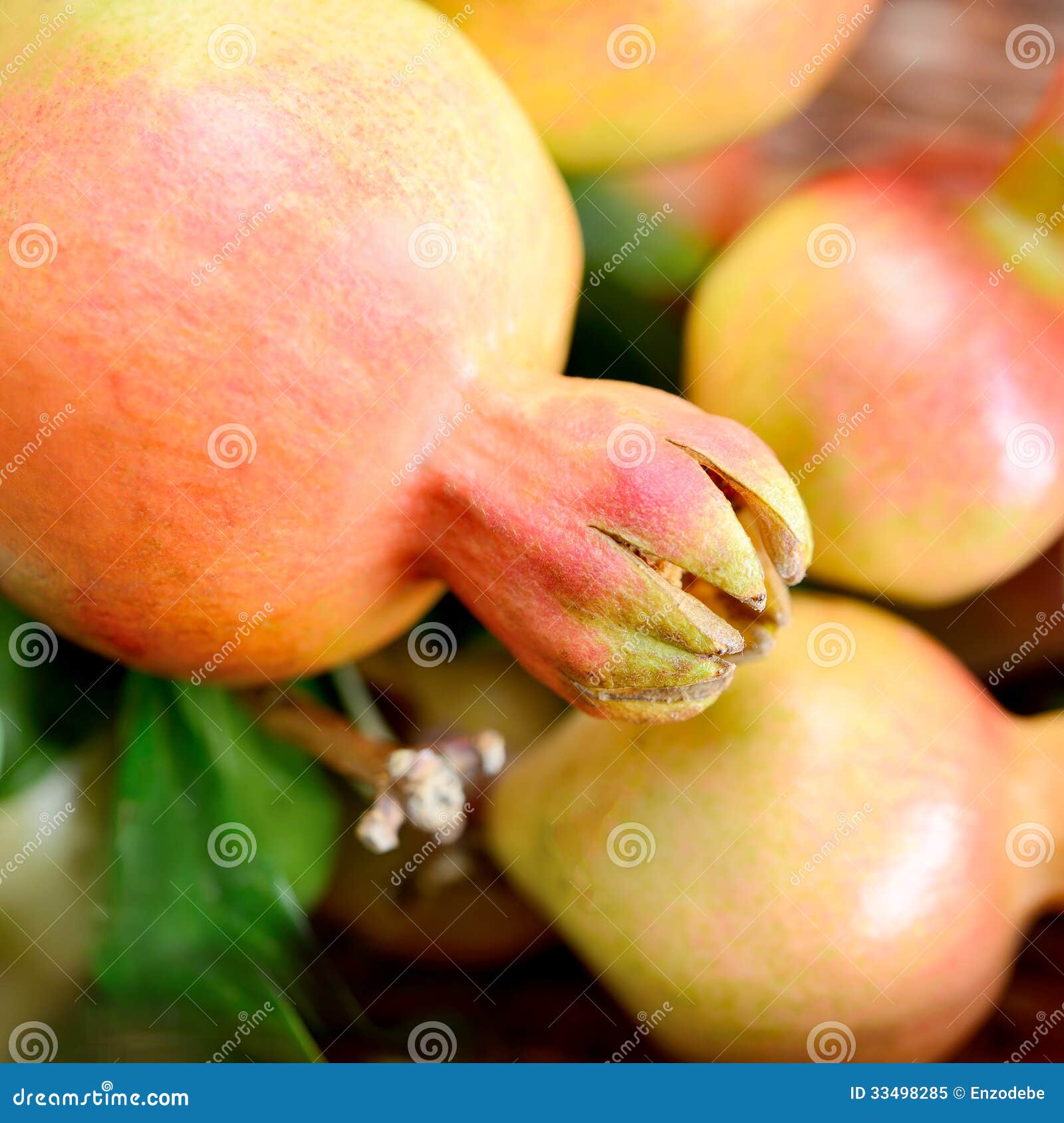 Unripe pomegranates stock image. Image of peach, juice - 33498285