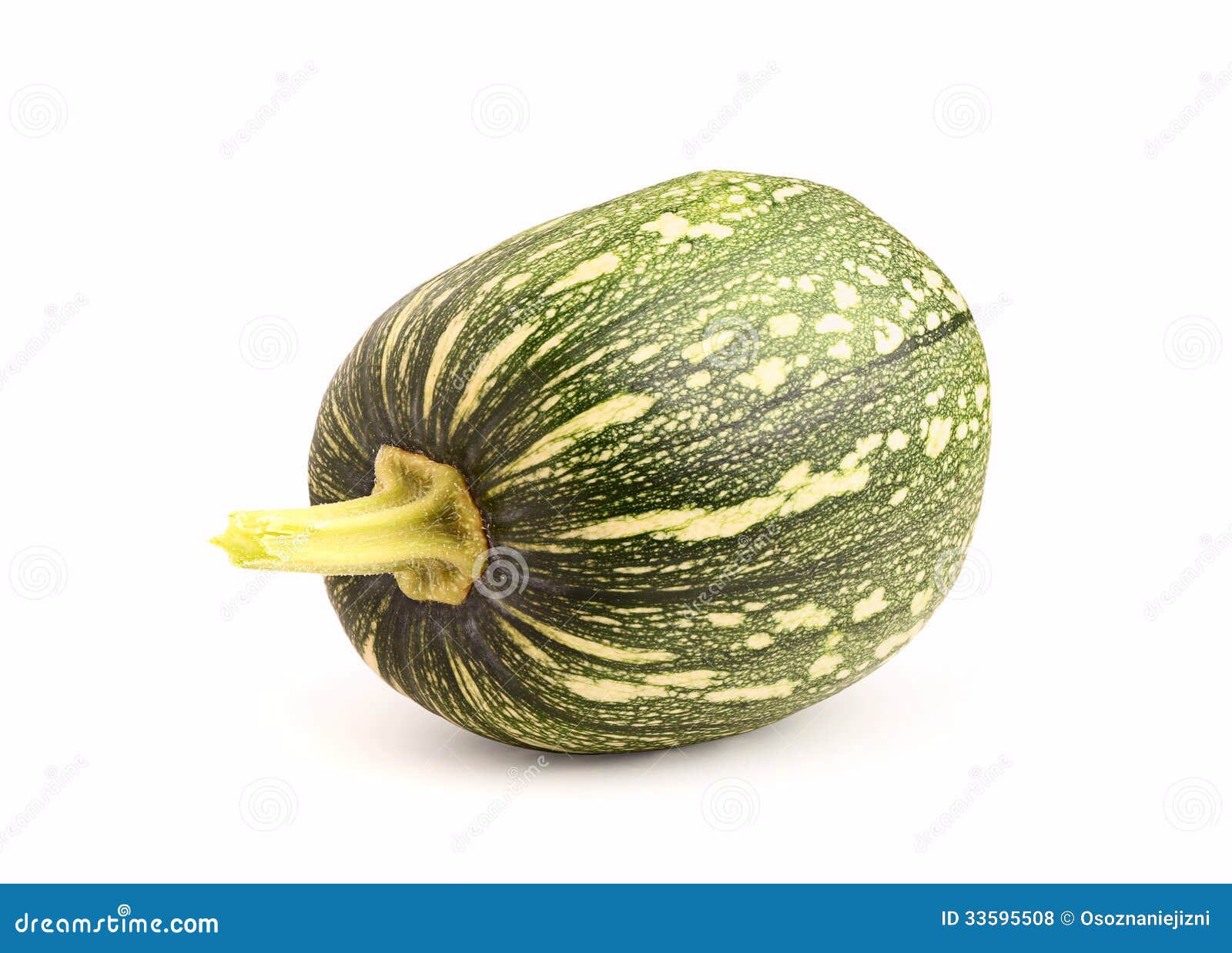 Unripe pumpkin. stock photo. Image of decoration, holidays - 33595508