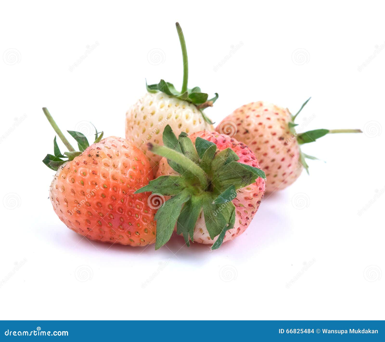 Unripe strawberry stock photo. Image of strawberry, fruit - 66825484