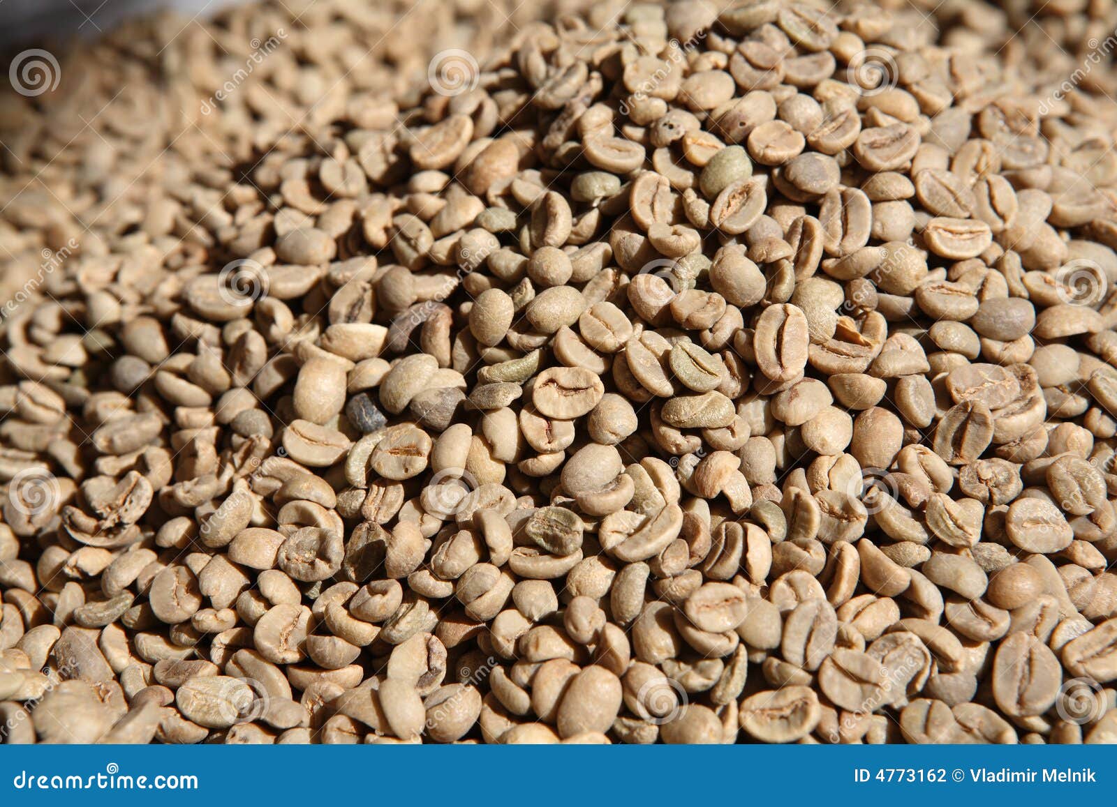 Unroasted ziaren kawy zdjęcie stock. Obraz złożonej z kawa - 4773162