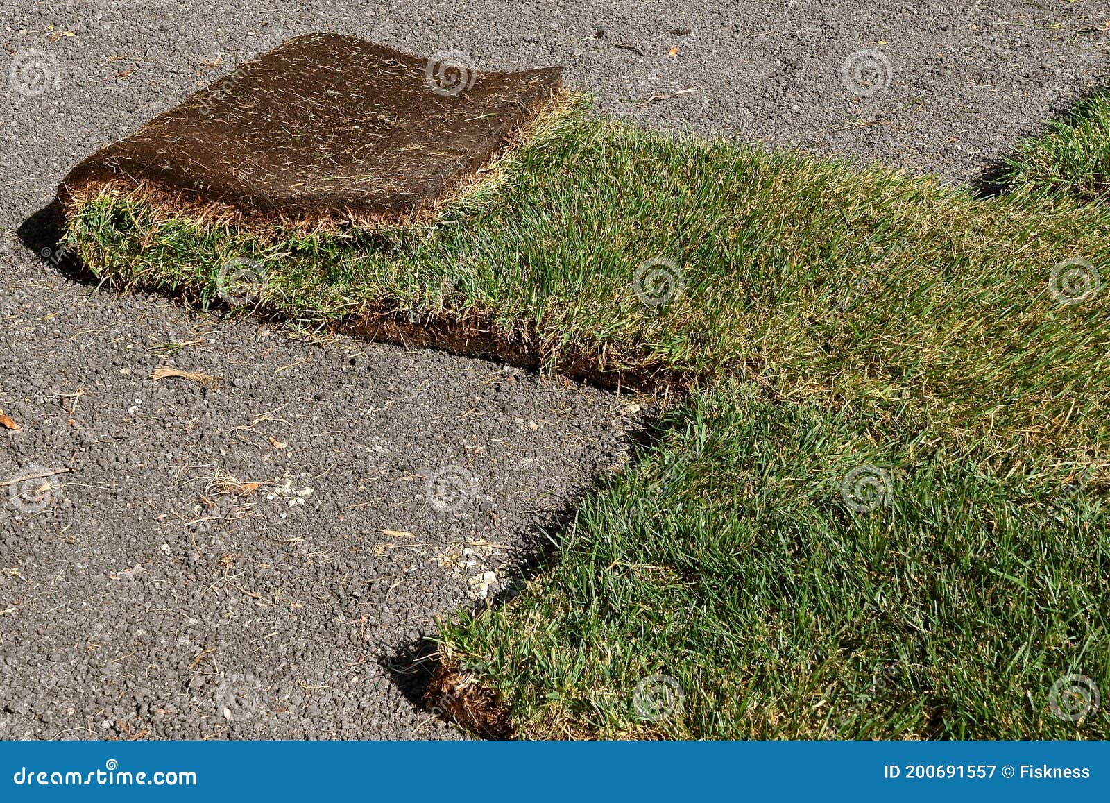 Unrolling Rolls of Sod in a Yard Stock Image - Image of unrolled, green ...